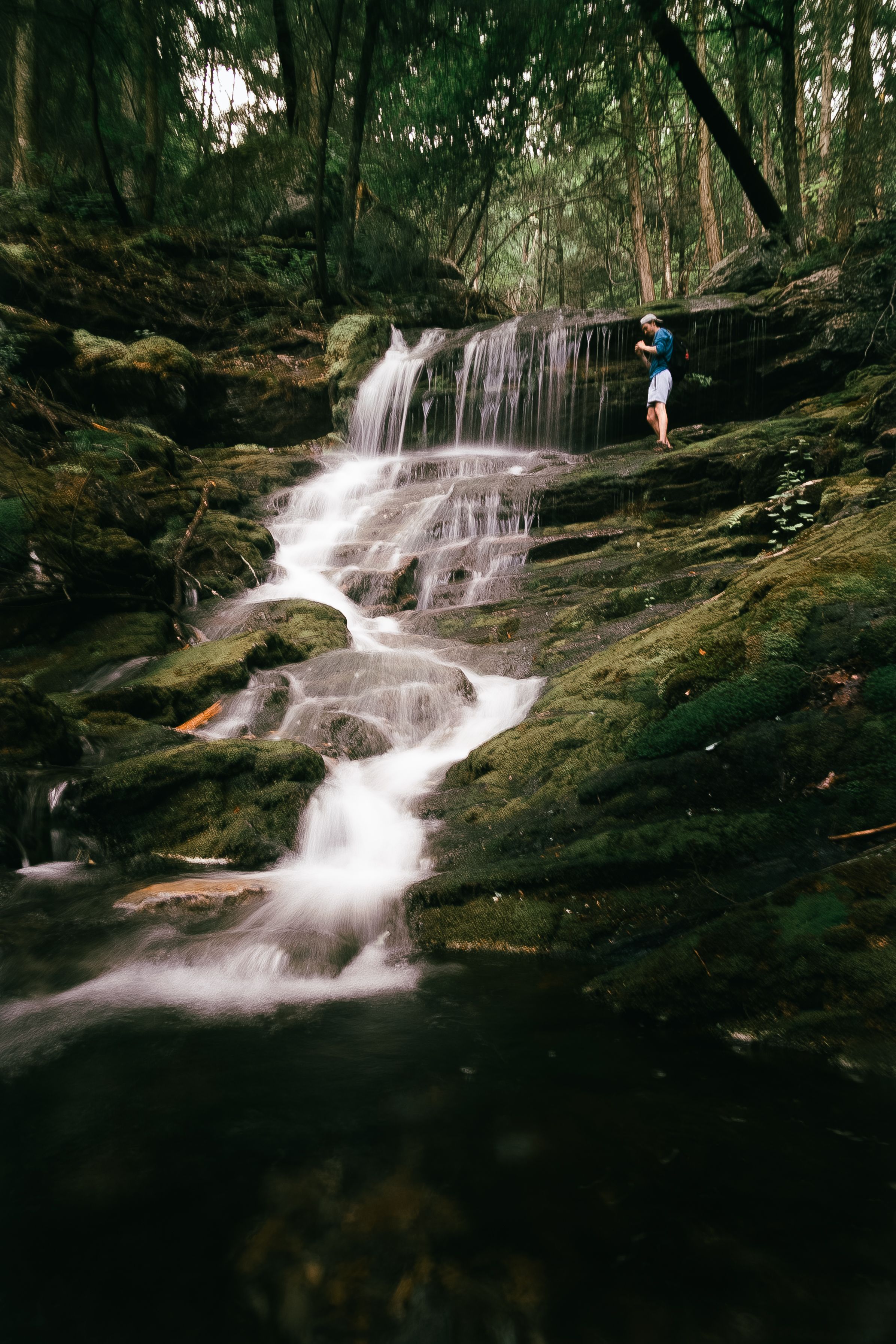 Man Standing by Stream in Forest · Free Stock Photo