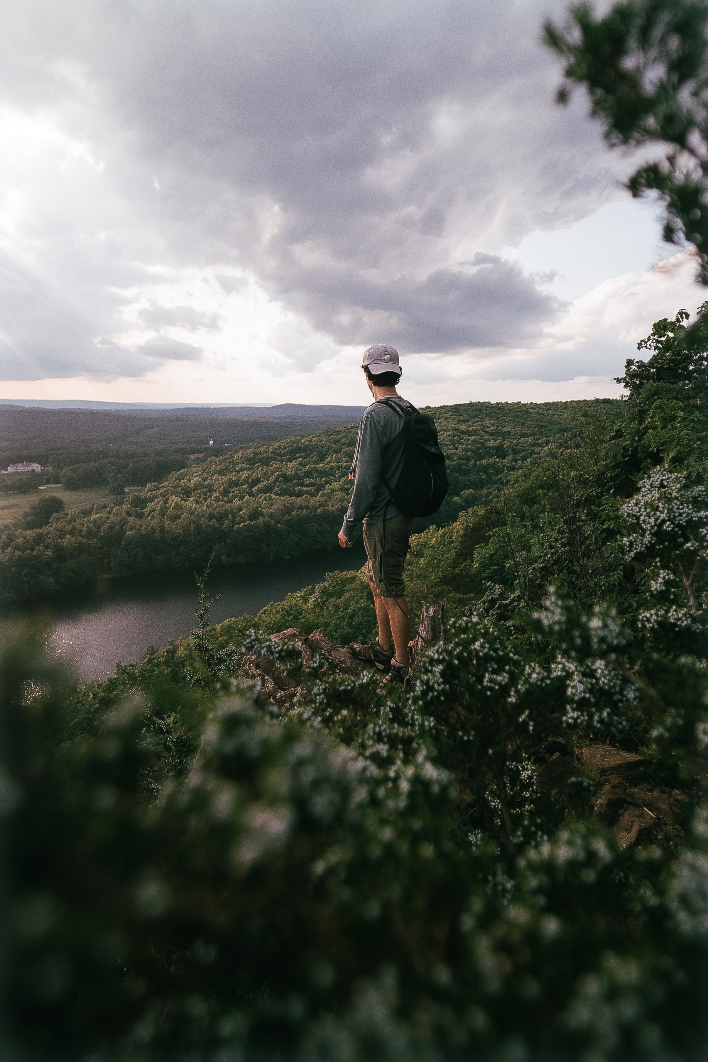 Man Standing on Hill with Forest behind · Free Stock Photo