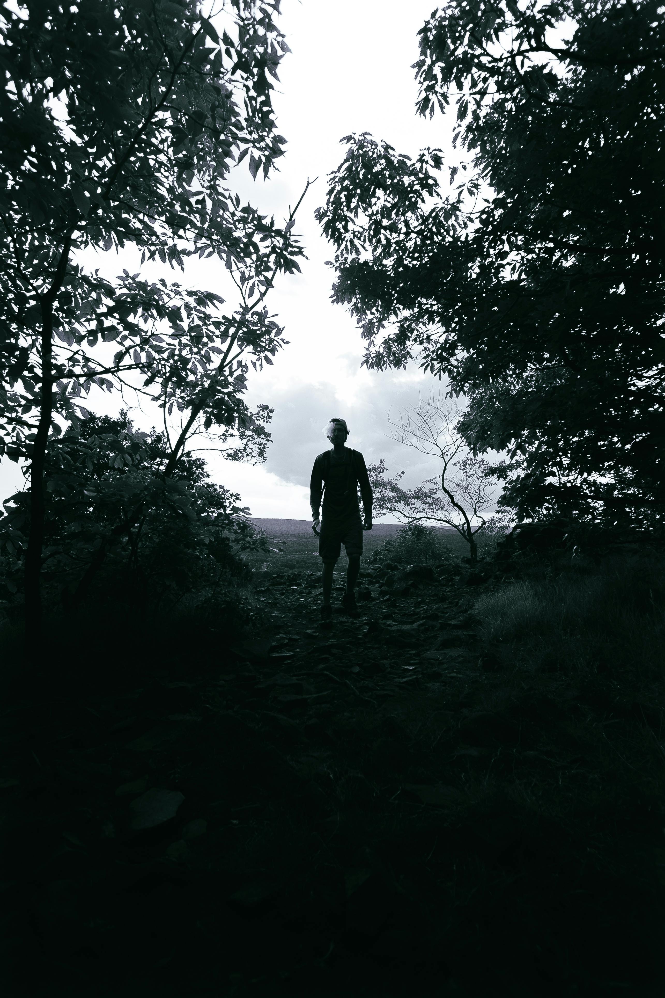 Man Standing between Trees in Forest · Free Stock Photo