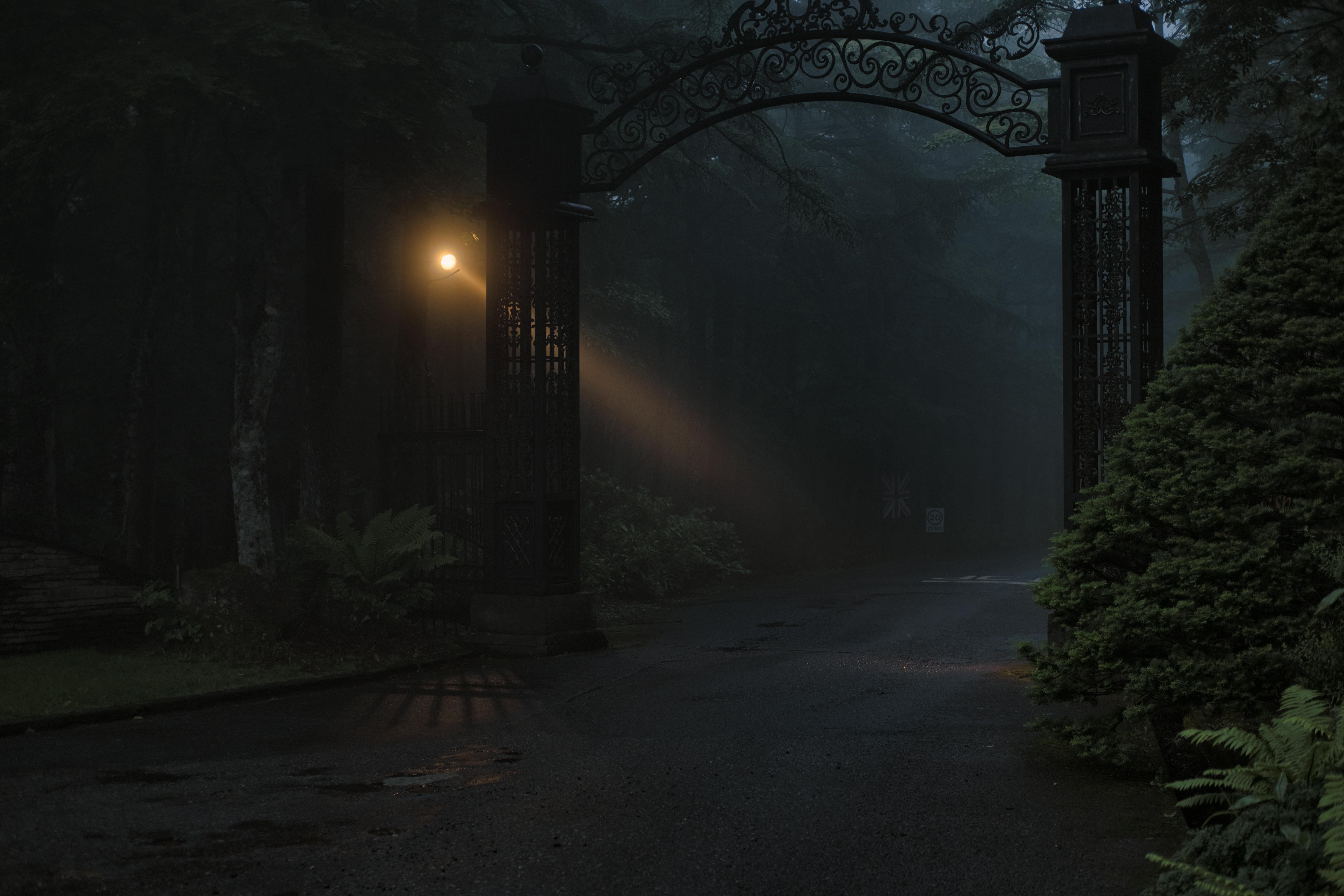Gate in Forest under Fog · Free Stock Photo