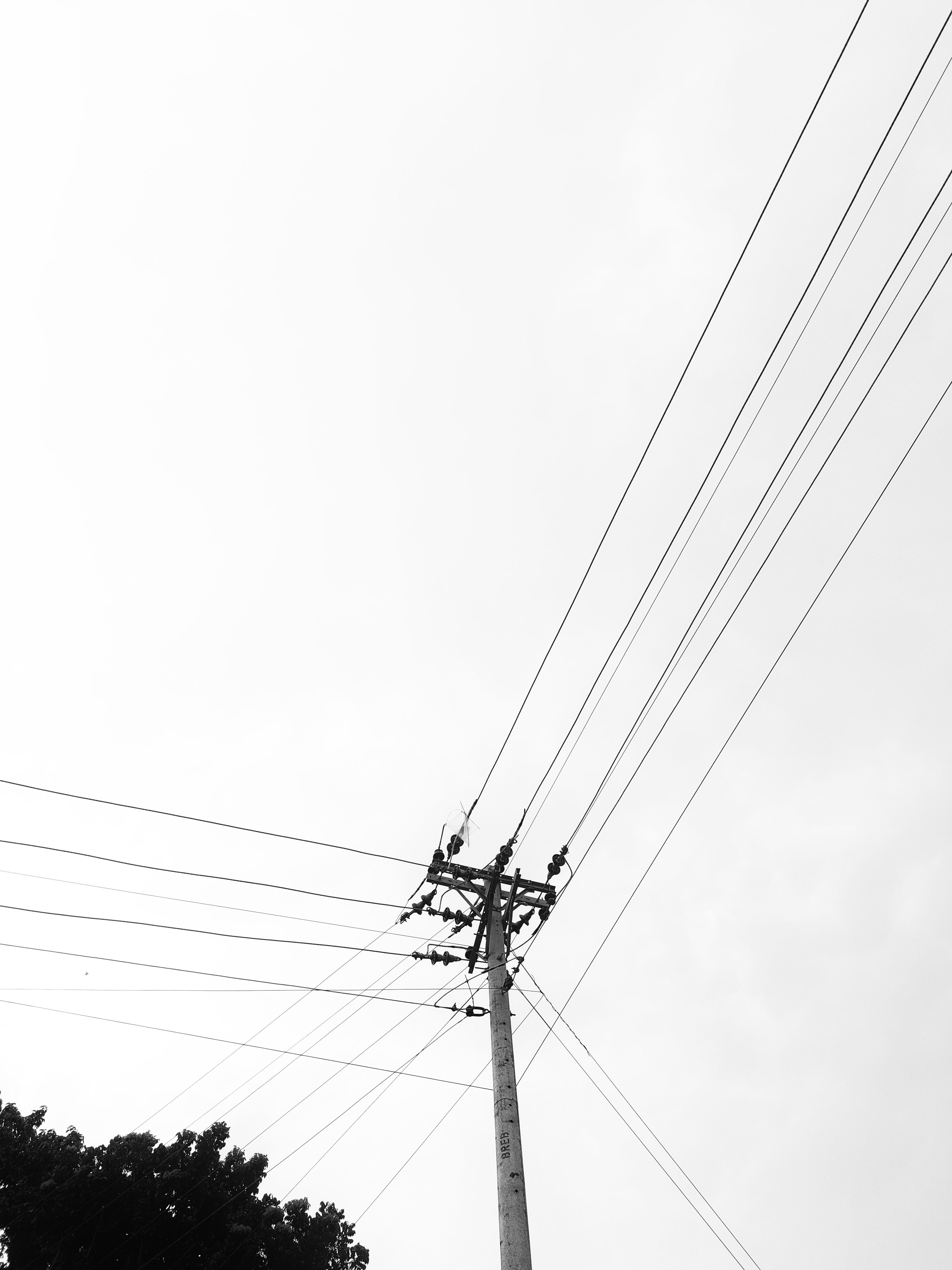 Sadia Ashraf - Photography