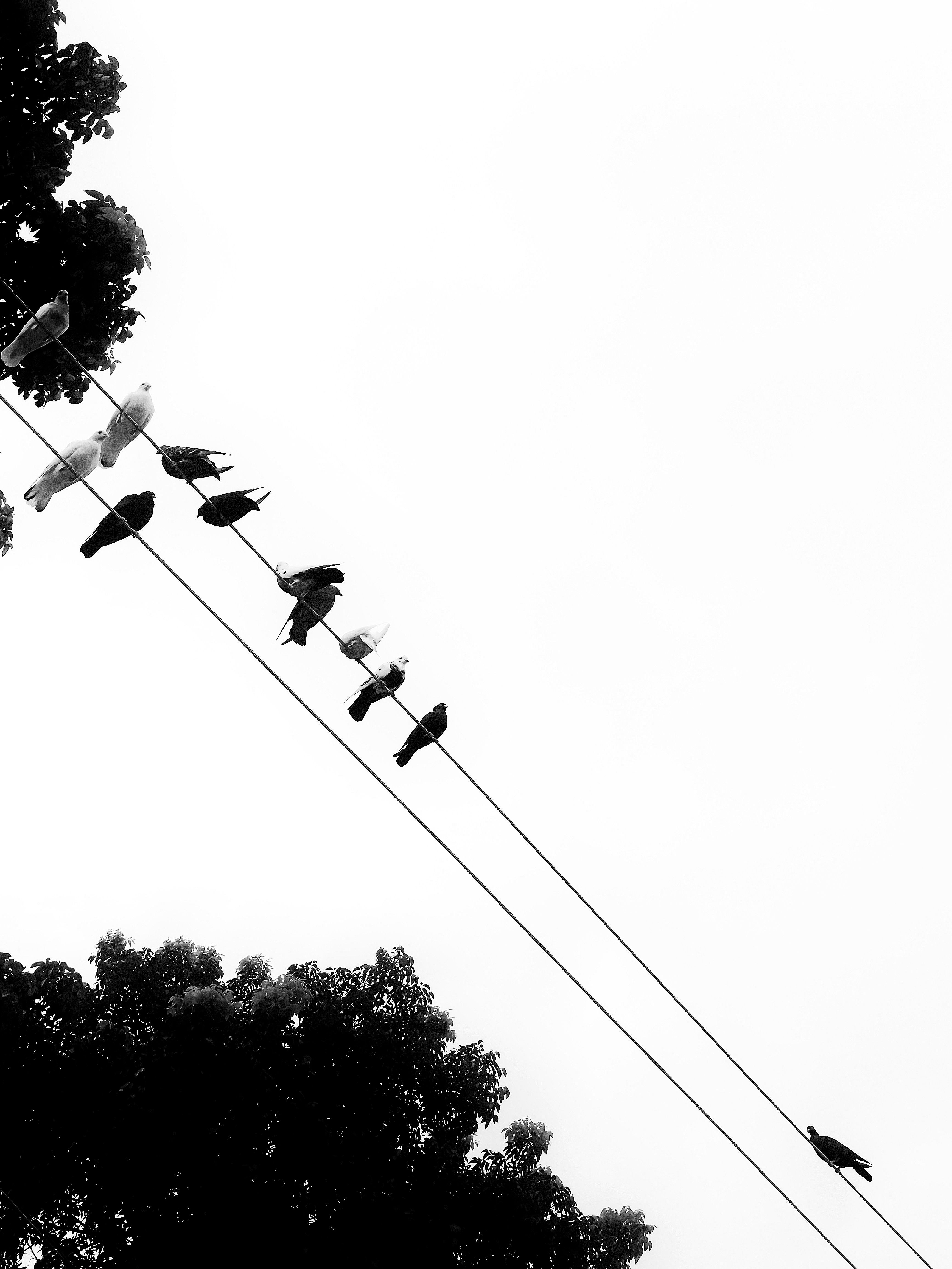 Sadia Ashraf - Photography