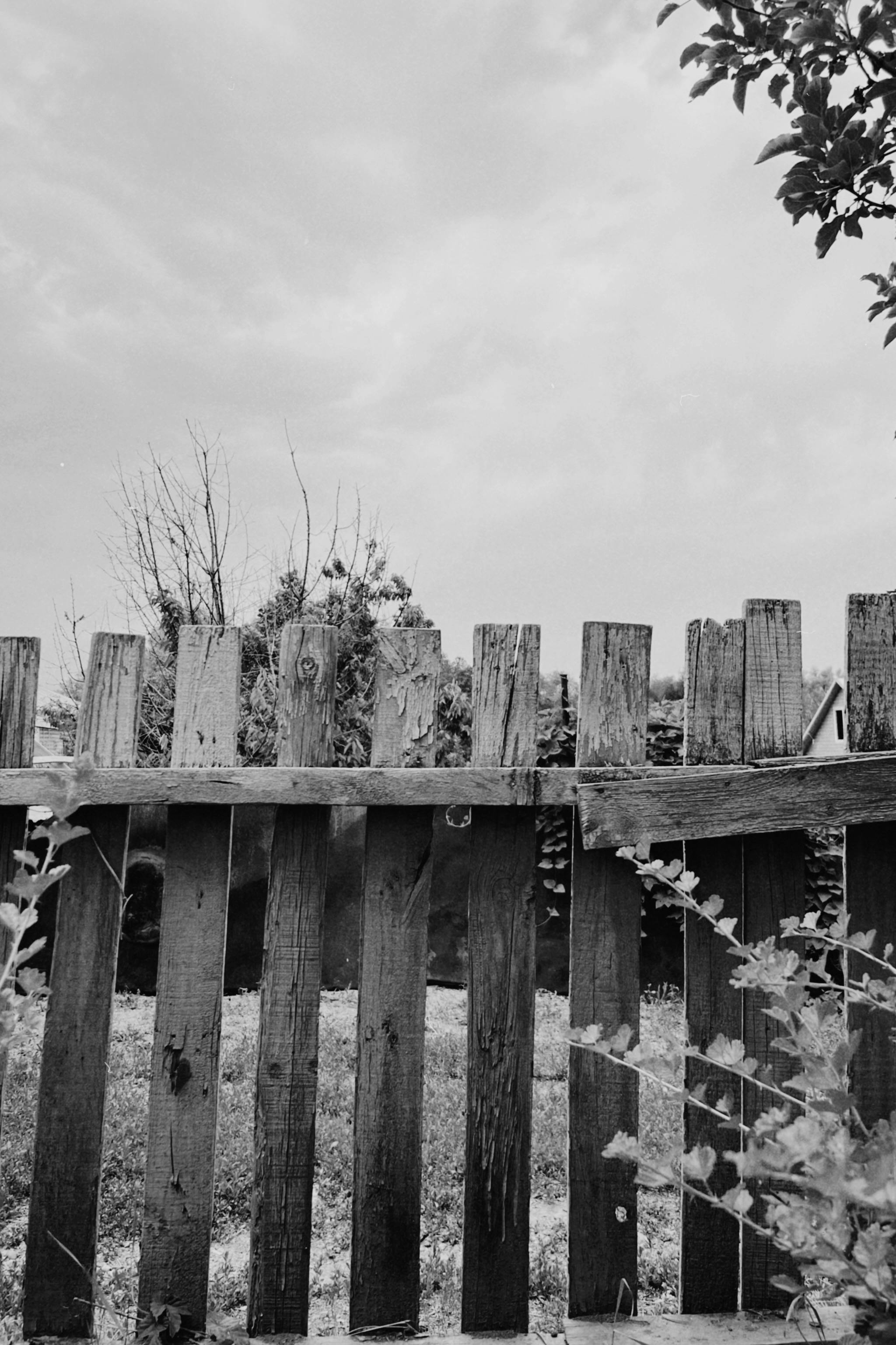 Almaty Photos, Download The BEST Free Almaty Stock Photos & HD Images