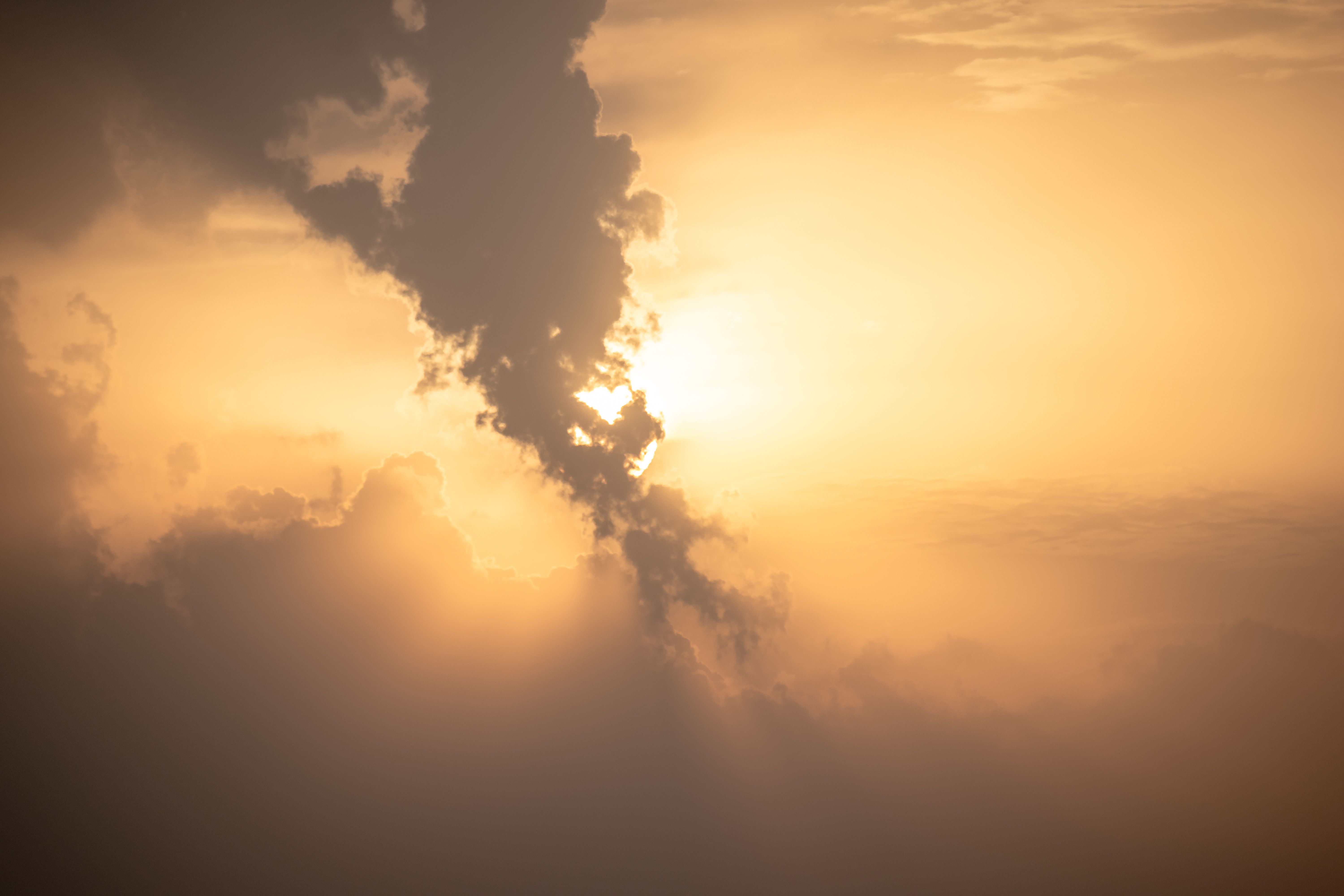 Woman Looking at Sunset · Free Stock Photo