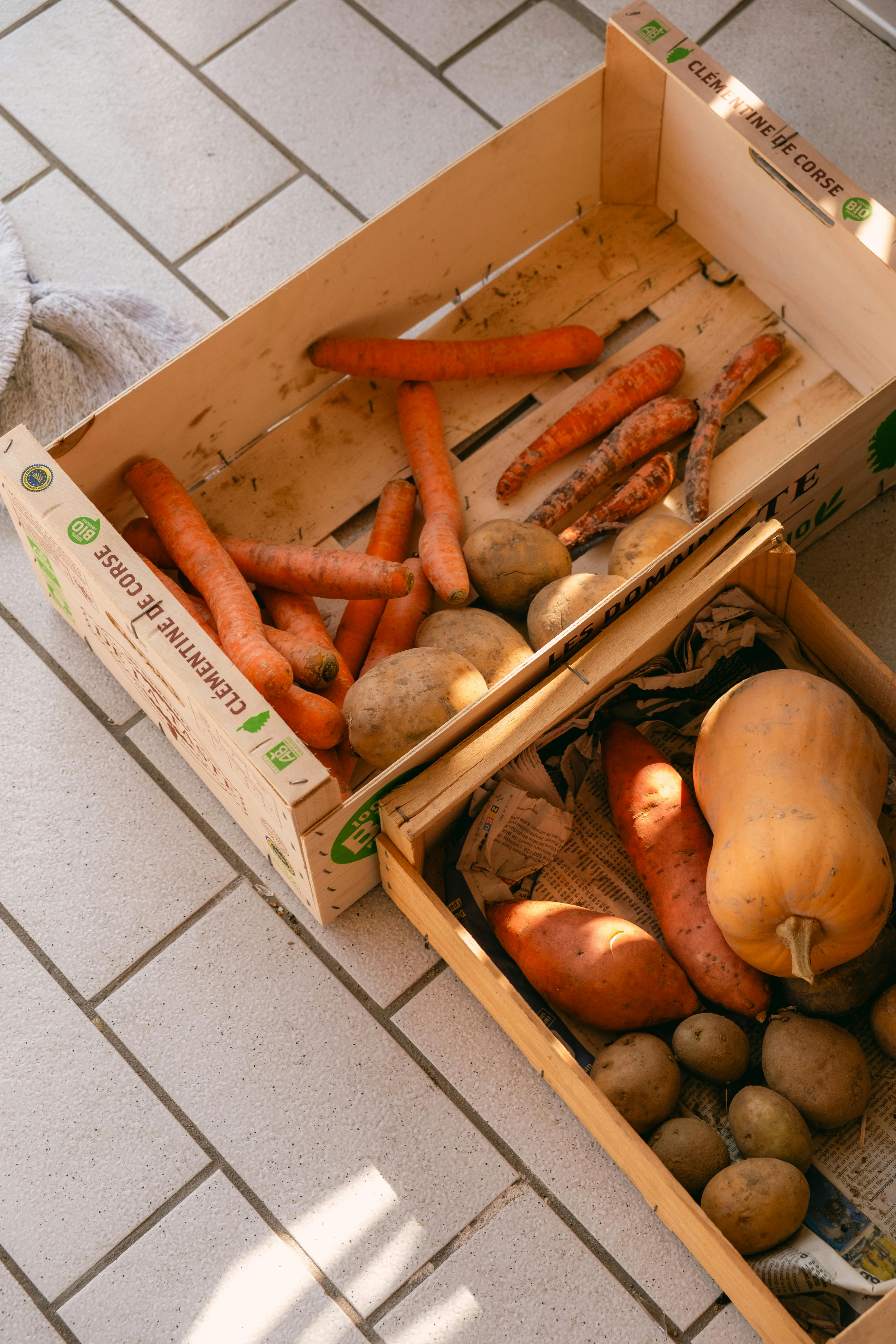 Vegetables in Boxes · Free Stock Photo