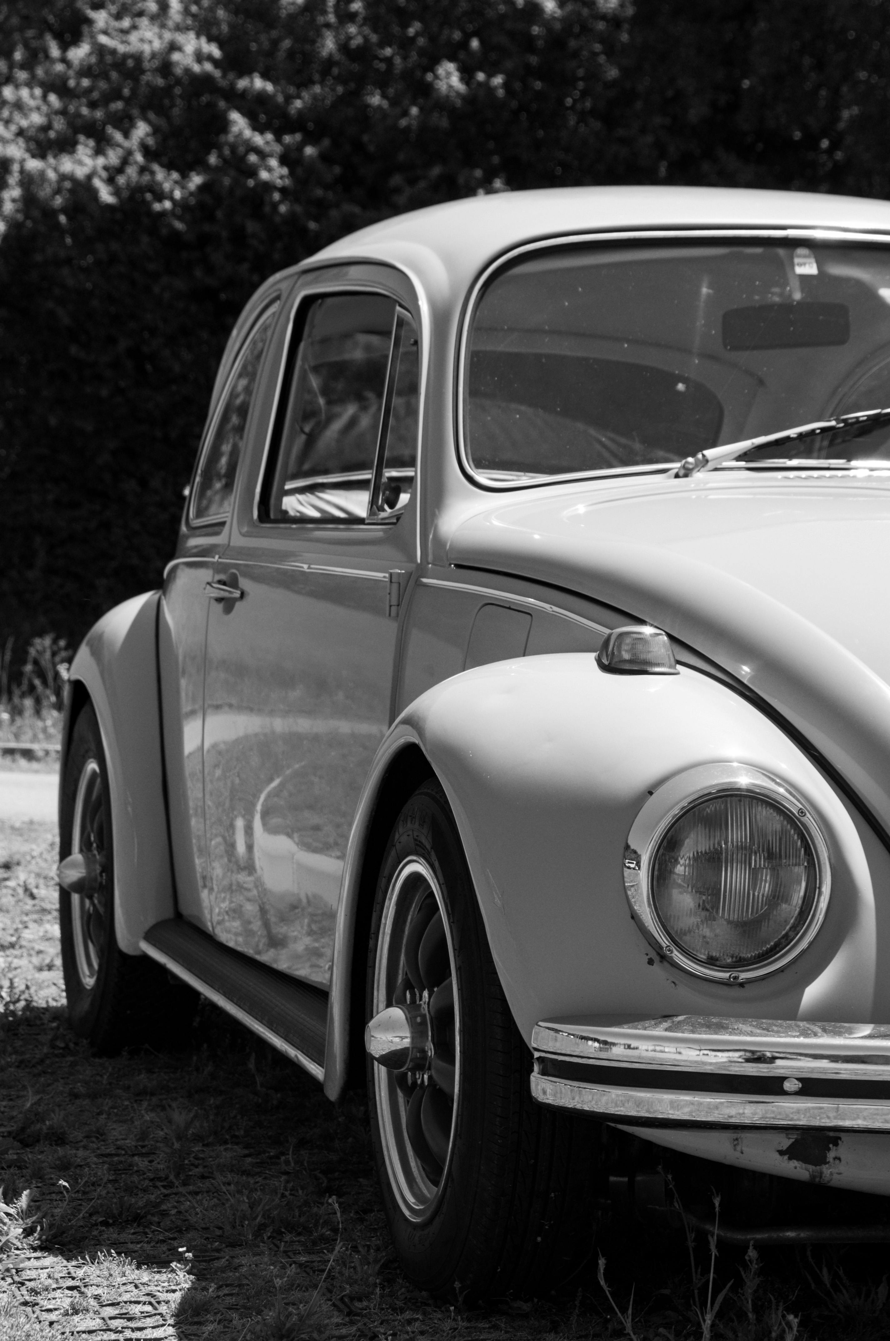VW Beetle 1980 3 Photos & Videos Collected by Nathan Vaganay