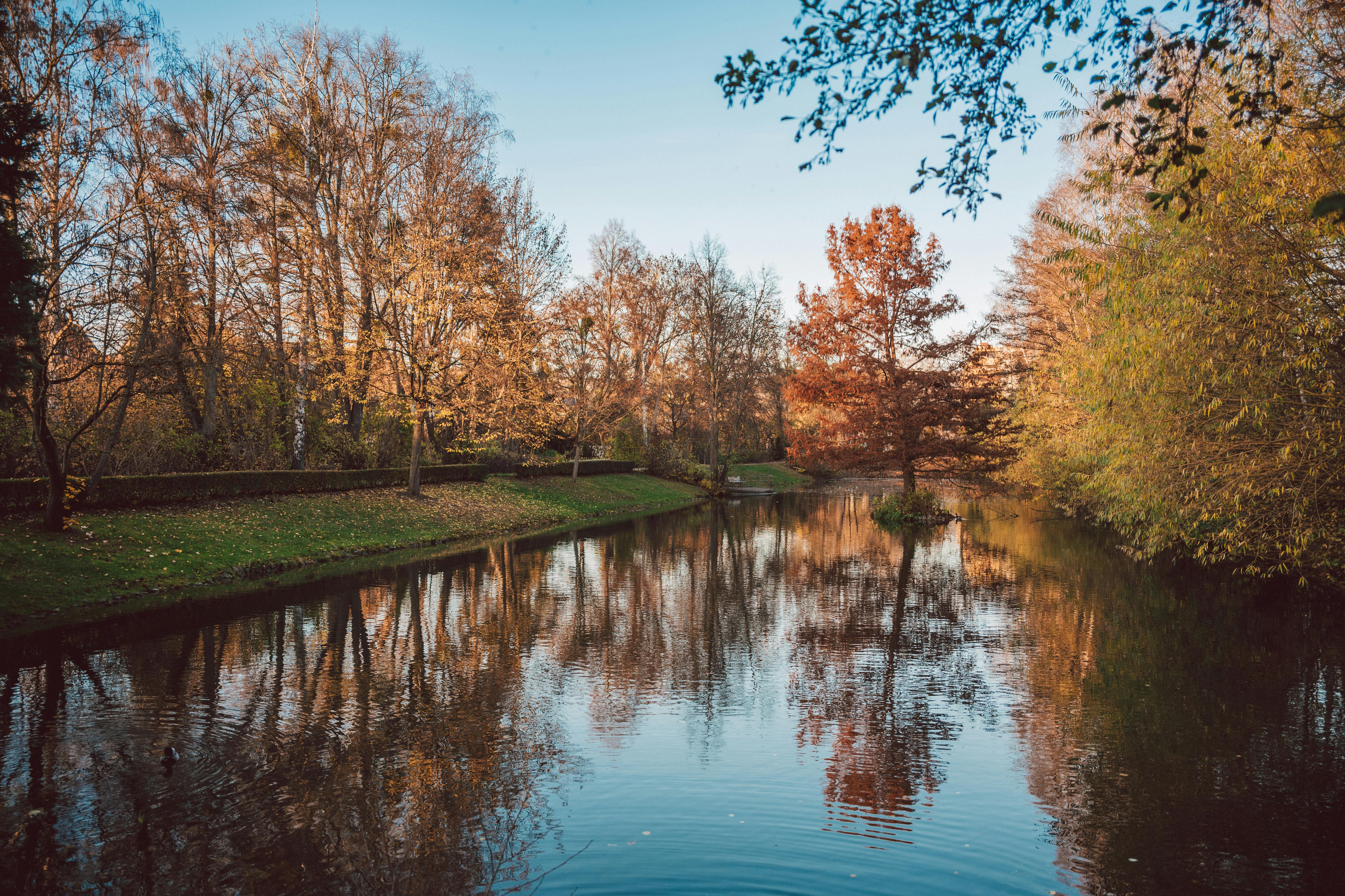 Autumn Trees Around Pond in Park · Free Stock Photo