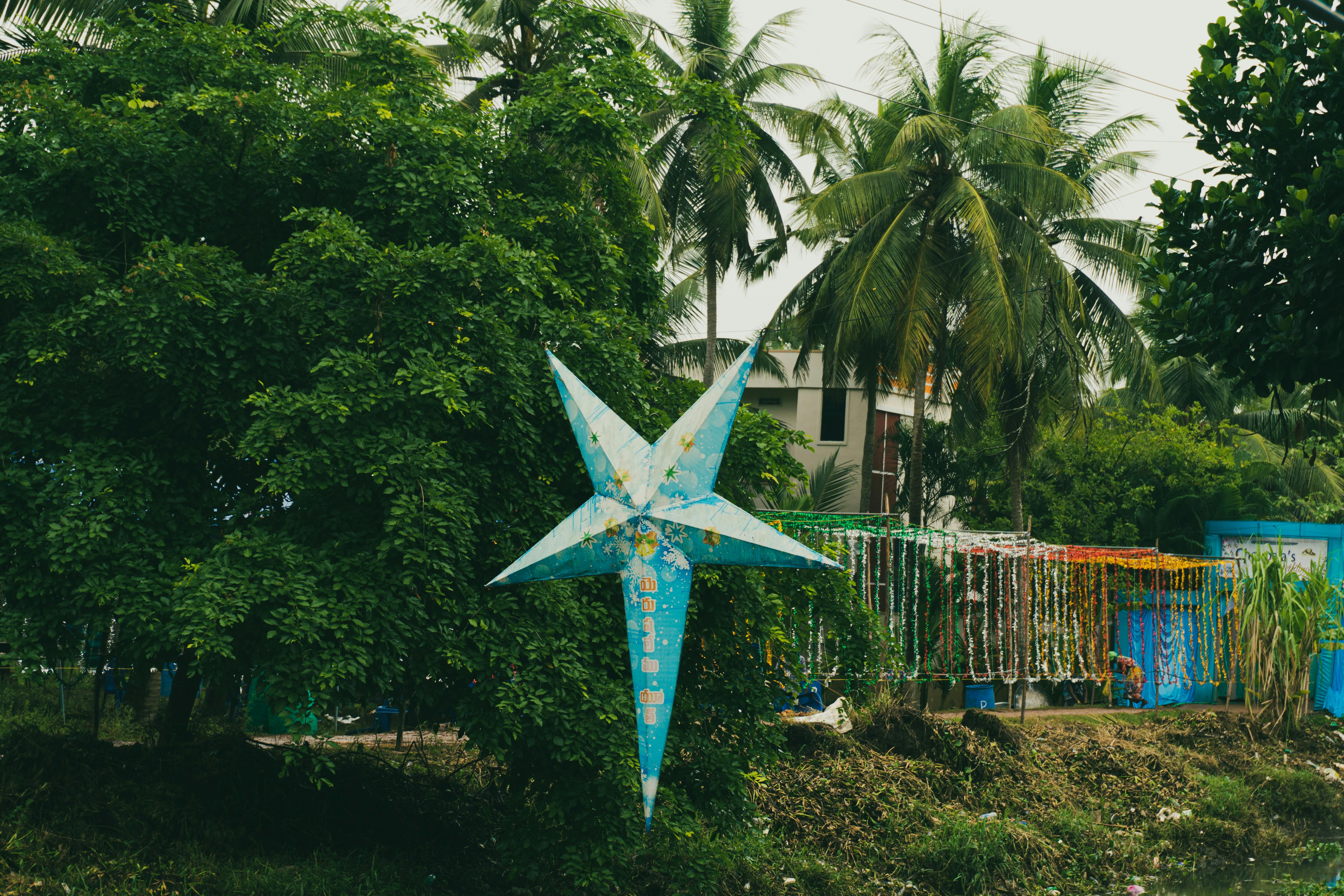 Razole Photos, Download The BEST Free Razole Stock Photos & HD Images