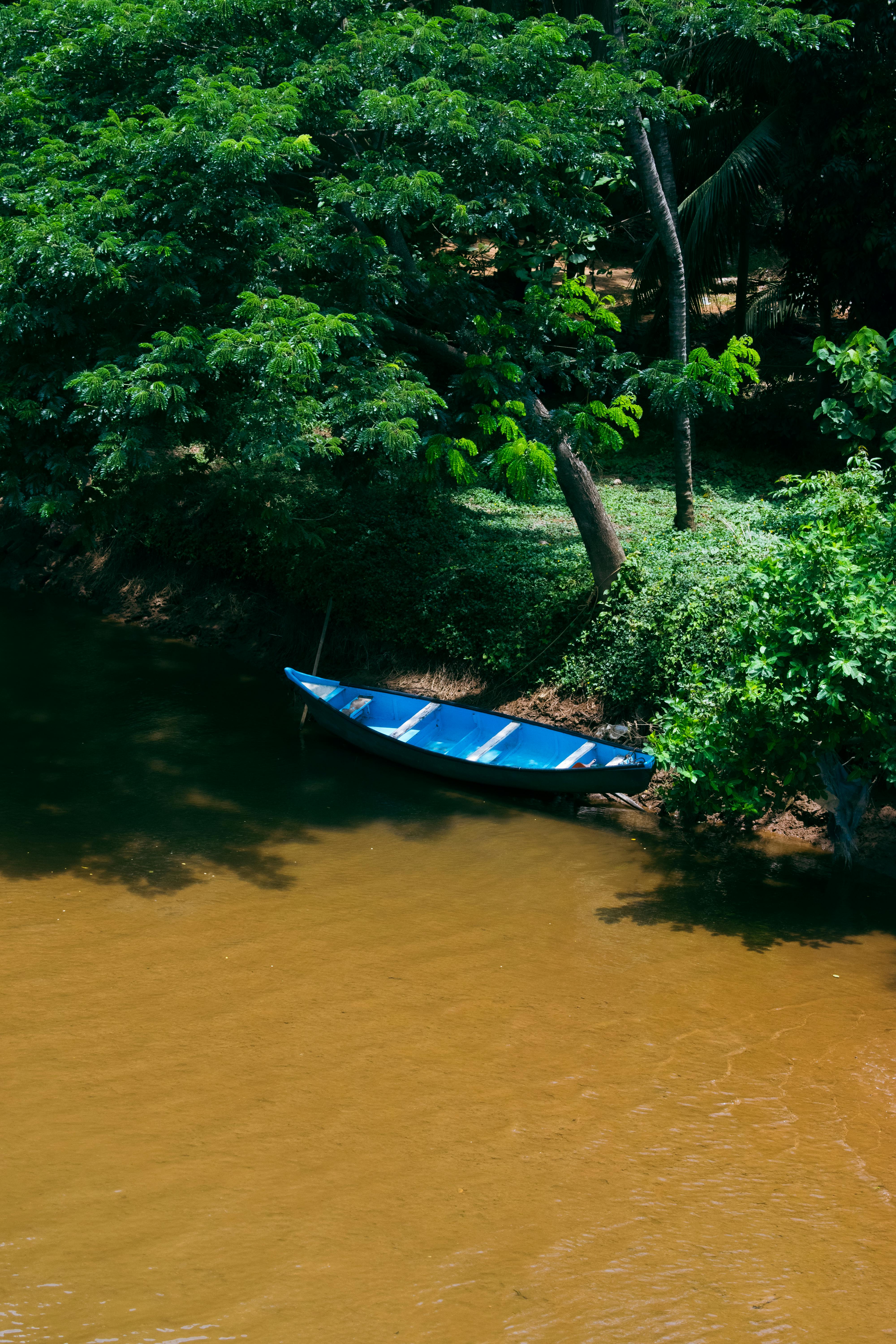 Boat under Trees over River · Free Stock Photo