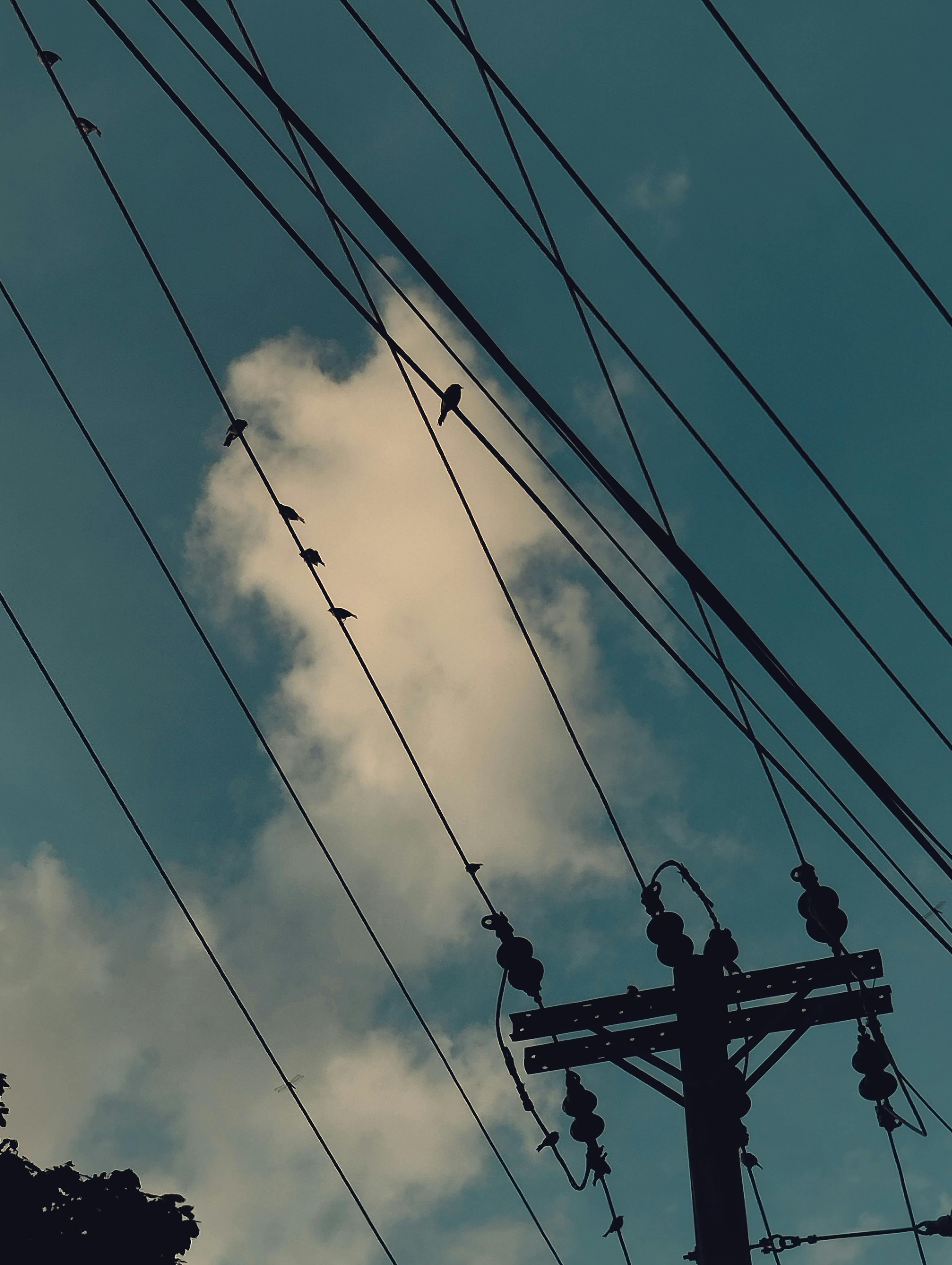 Electricity Animated Photos, Download The BEST Free Electricity ...