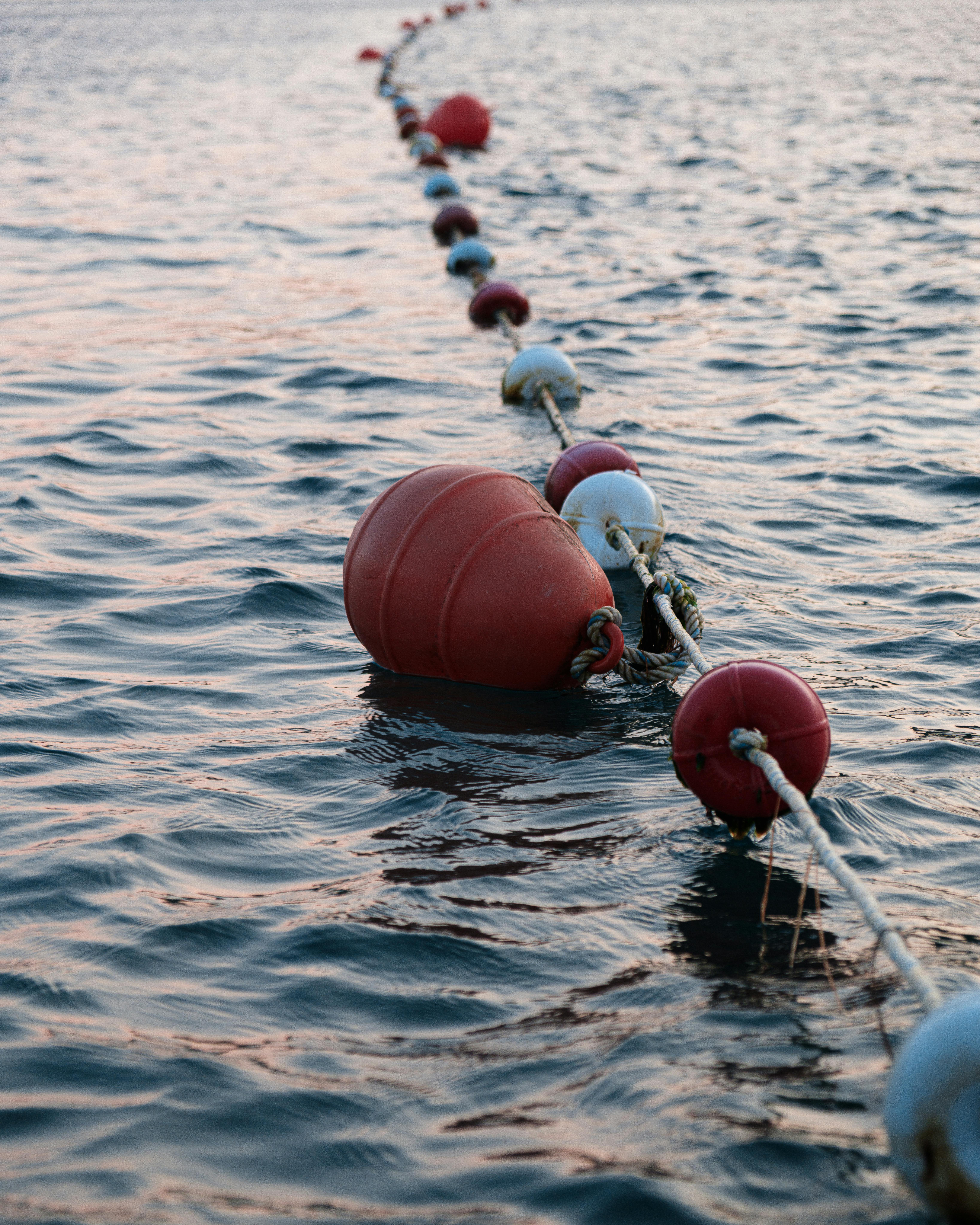 Rop with Buoys on Sea Shore · Free Stock Photo