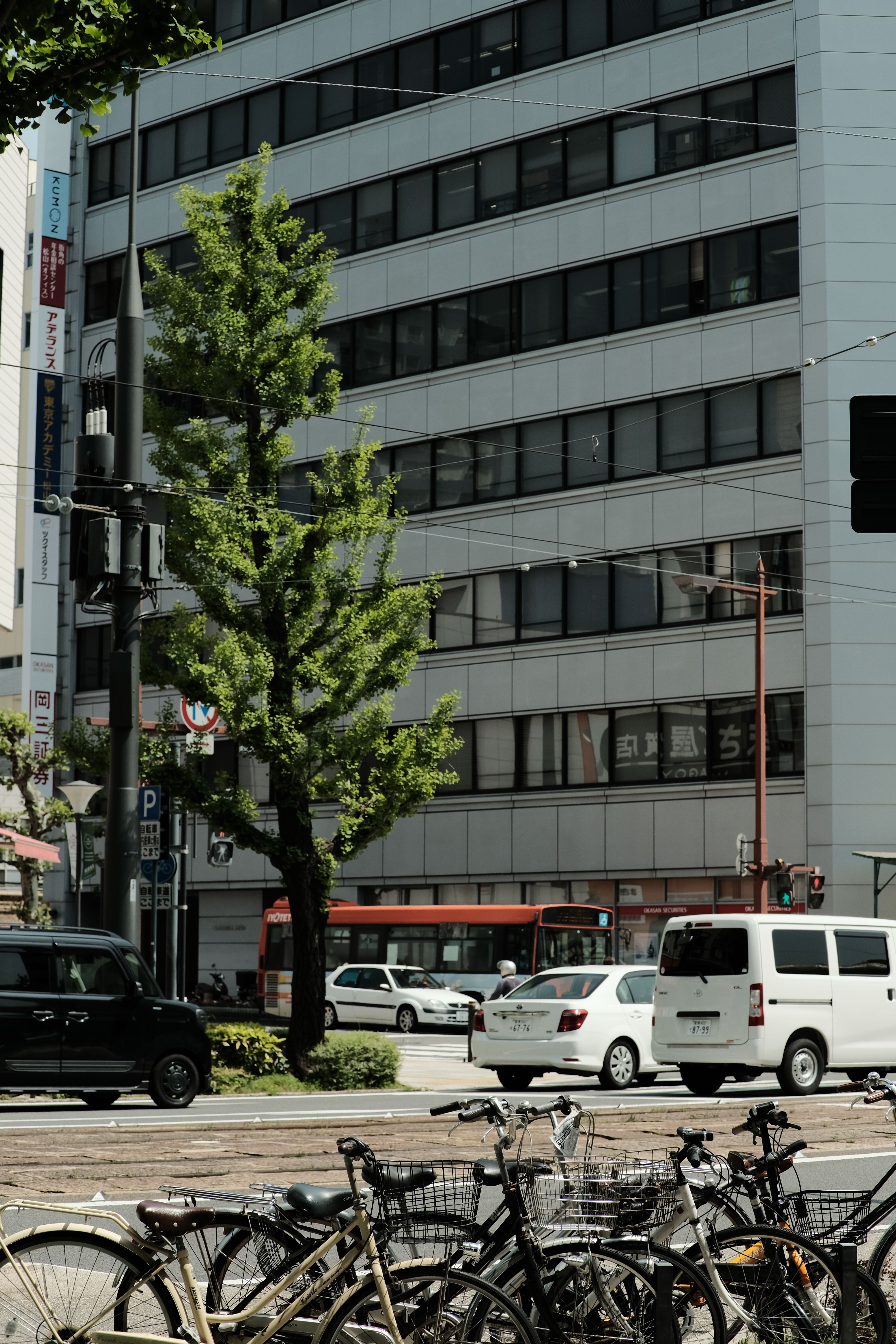 Tree and Cars near Building · Free Stock Photo