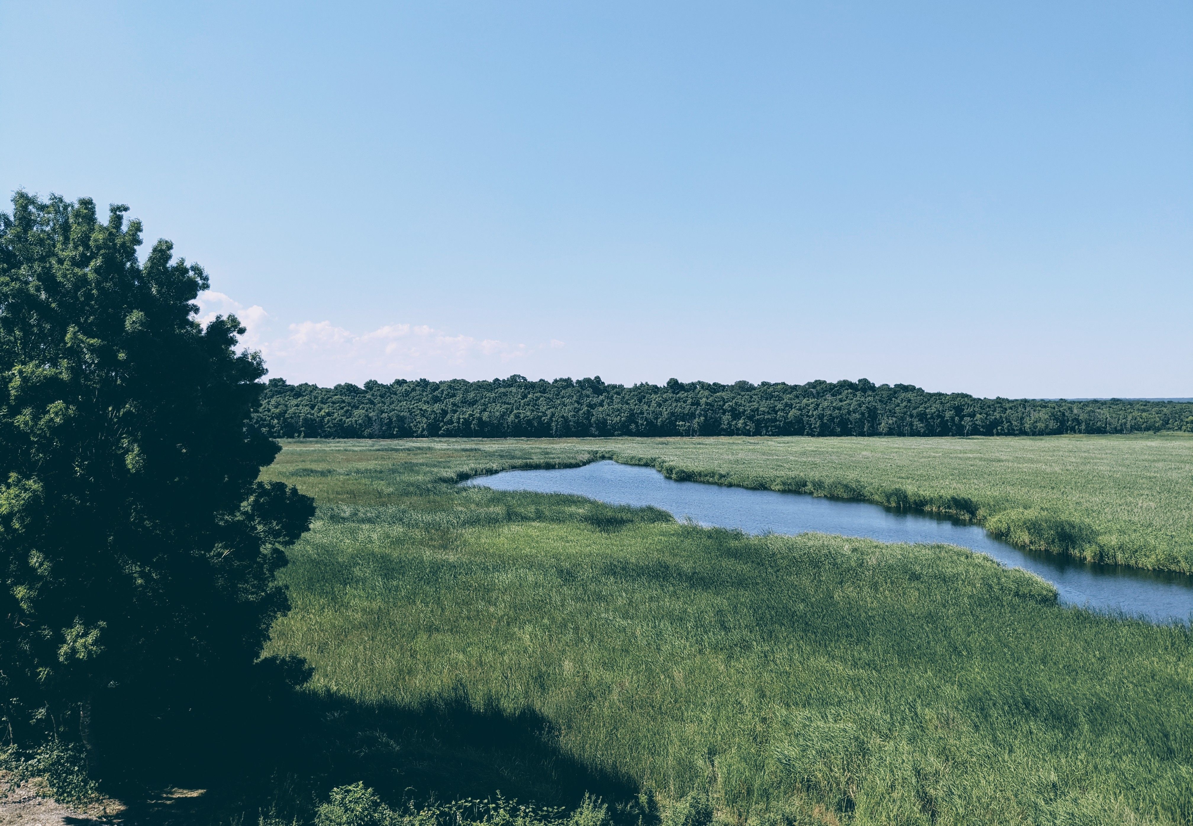 A river is flowing through a field with trees · Free Stock Photo