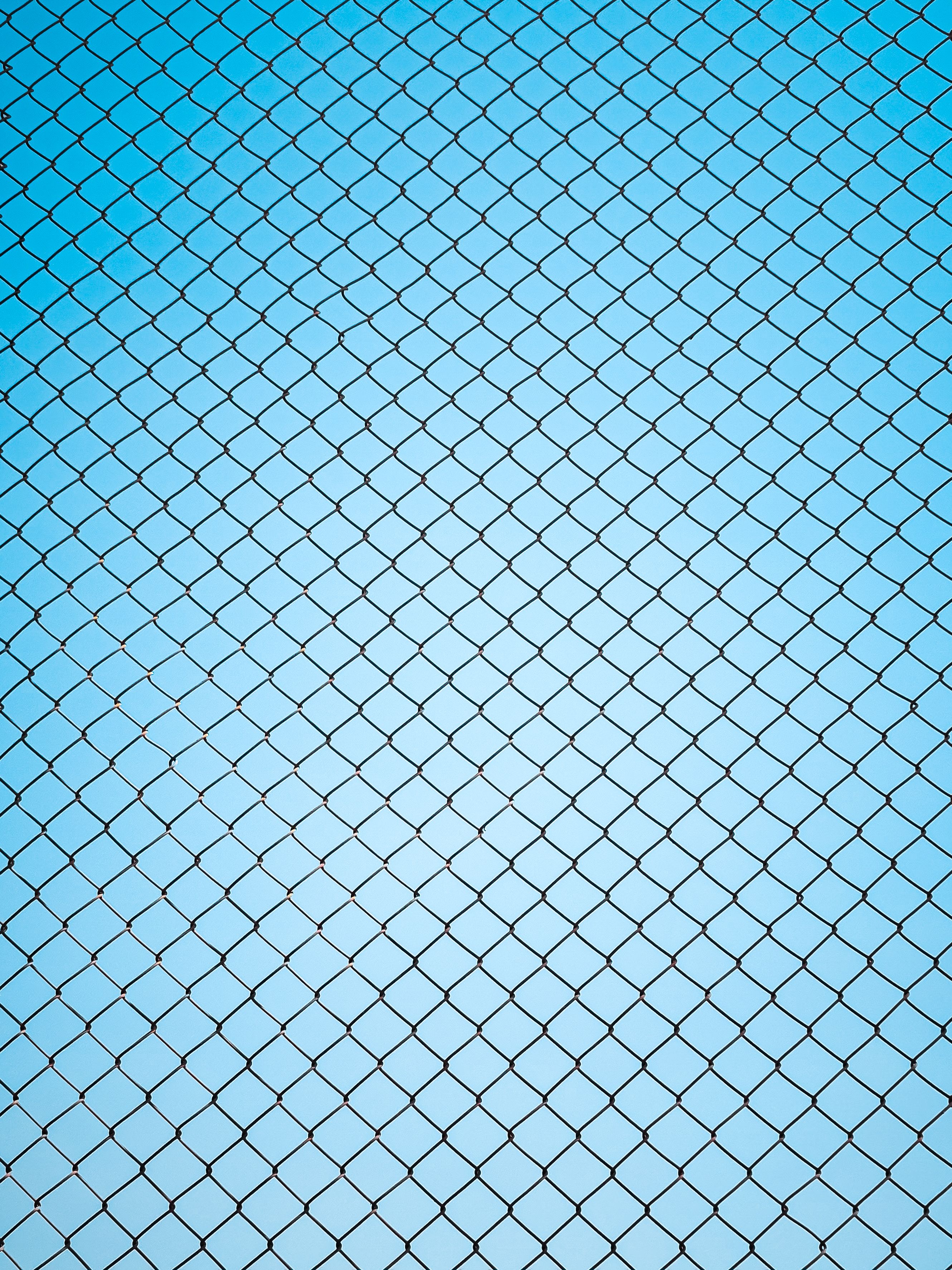 Foto de stock gratuita sobre cerca, cielo azul, estampado, malla ...