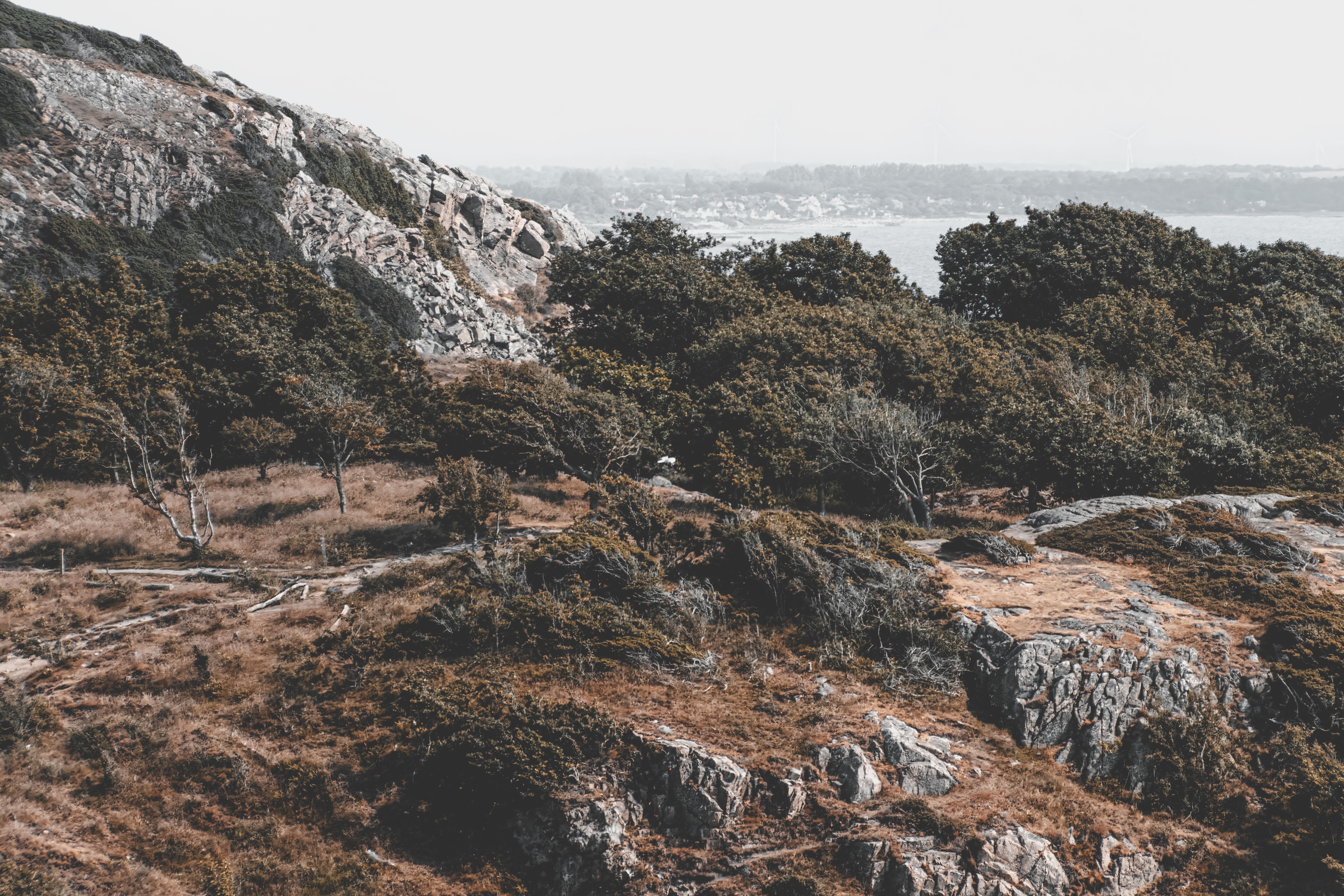 Nature · Free Stock Photo