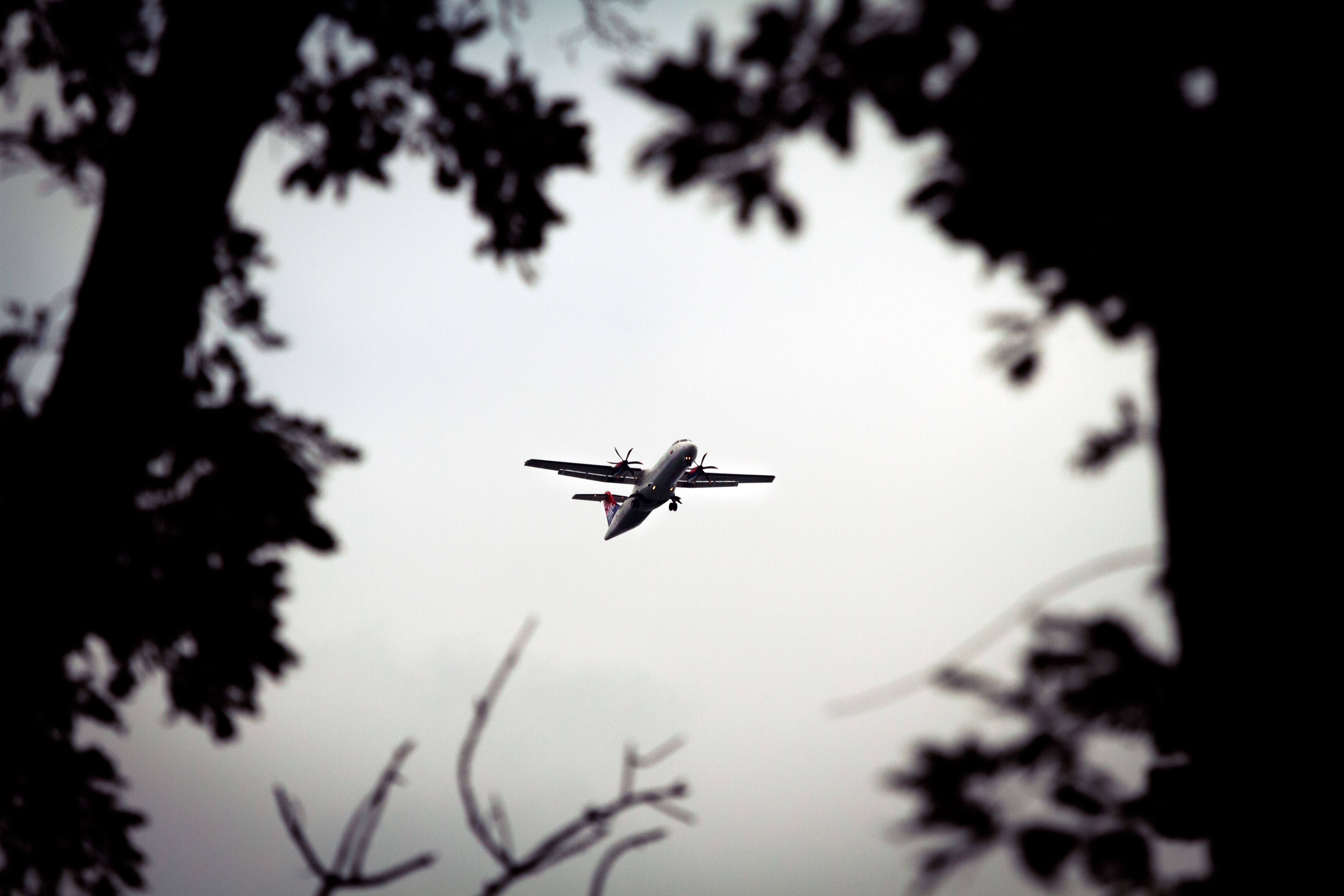 Flying Airplane behind Trees · Free Stock Photo
