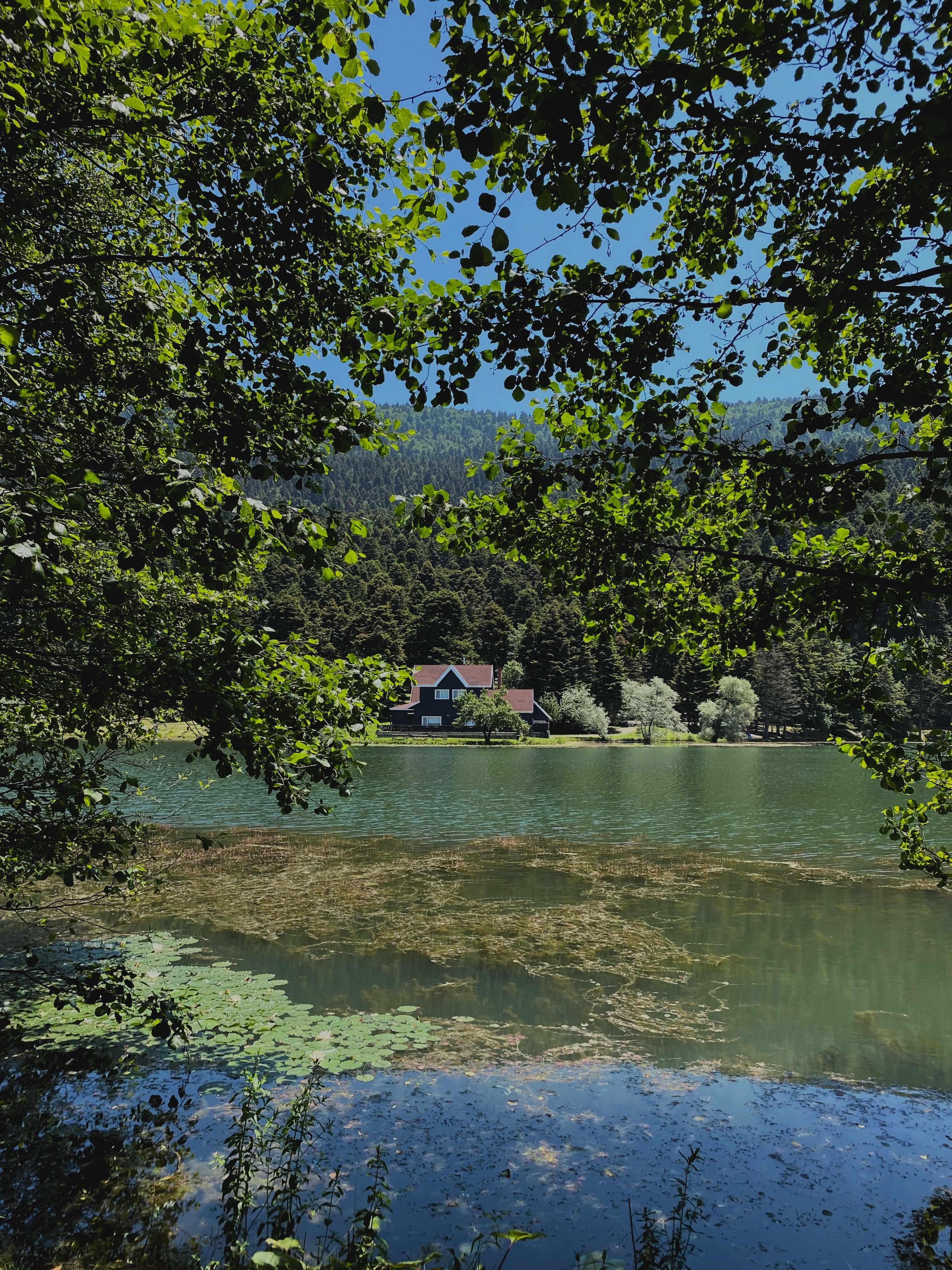 Calming Scenery Photos, Download The BEST Free Calming Scenery Stock ...