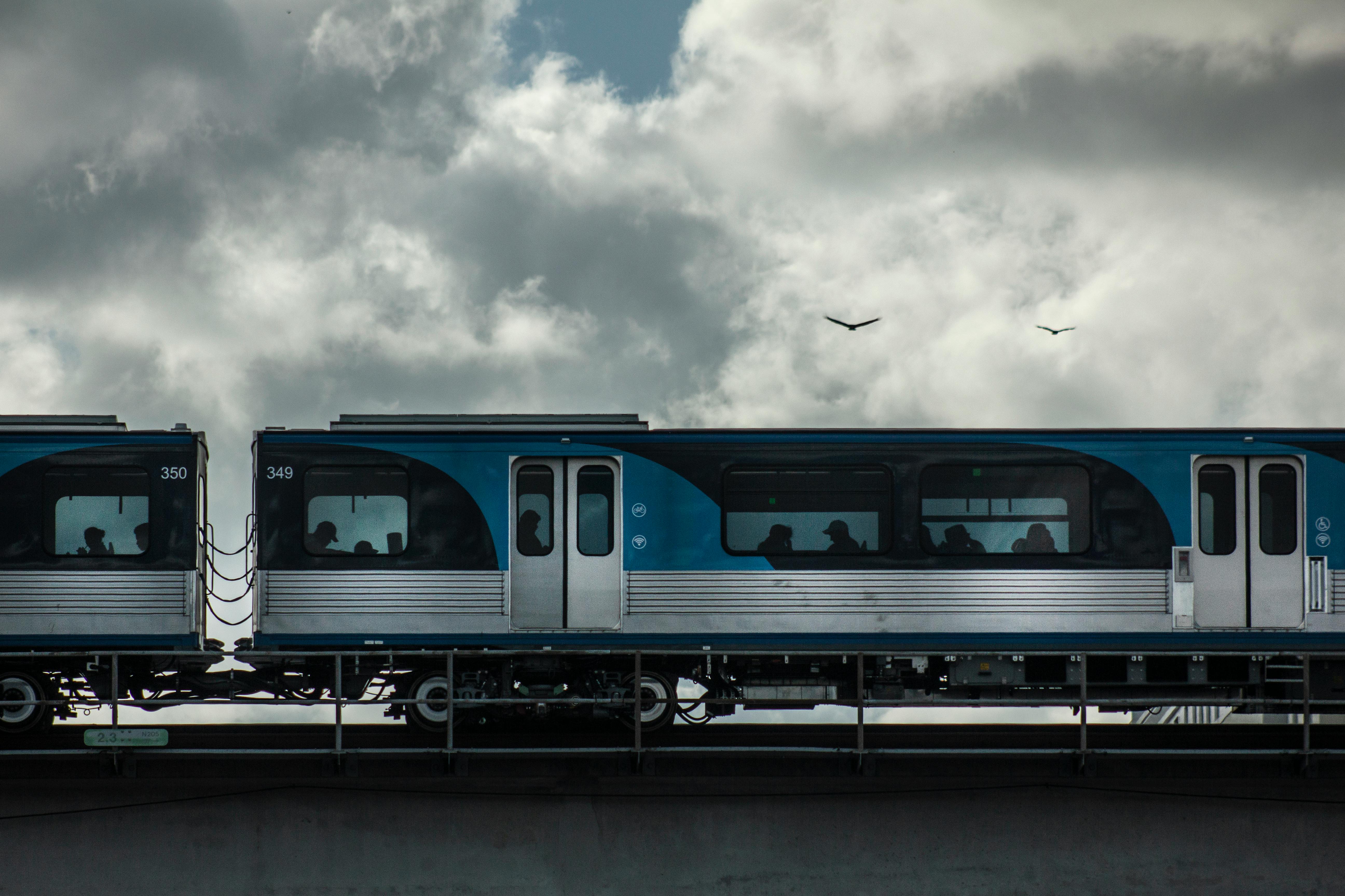 Birds On A Train Photos, Download The BEST Free Birds On A Train Stock ...