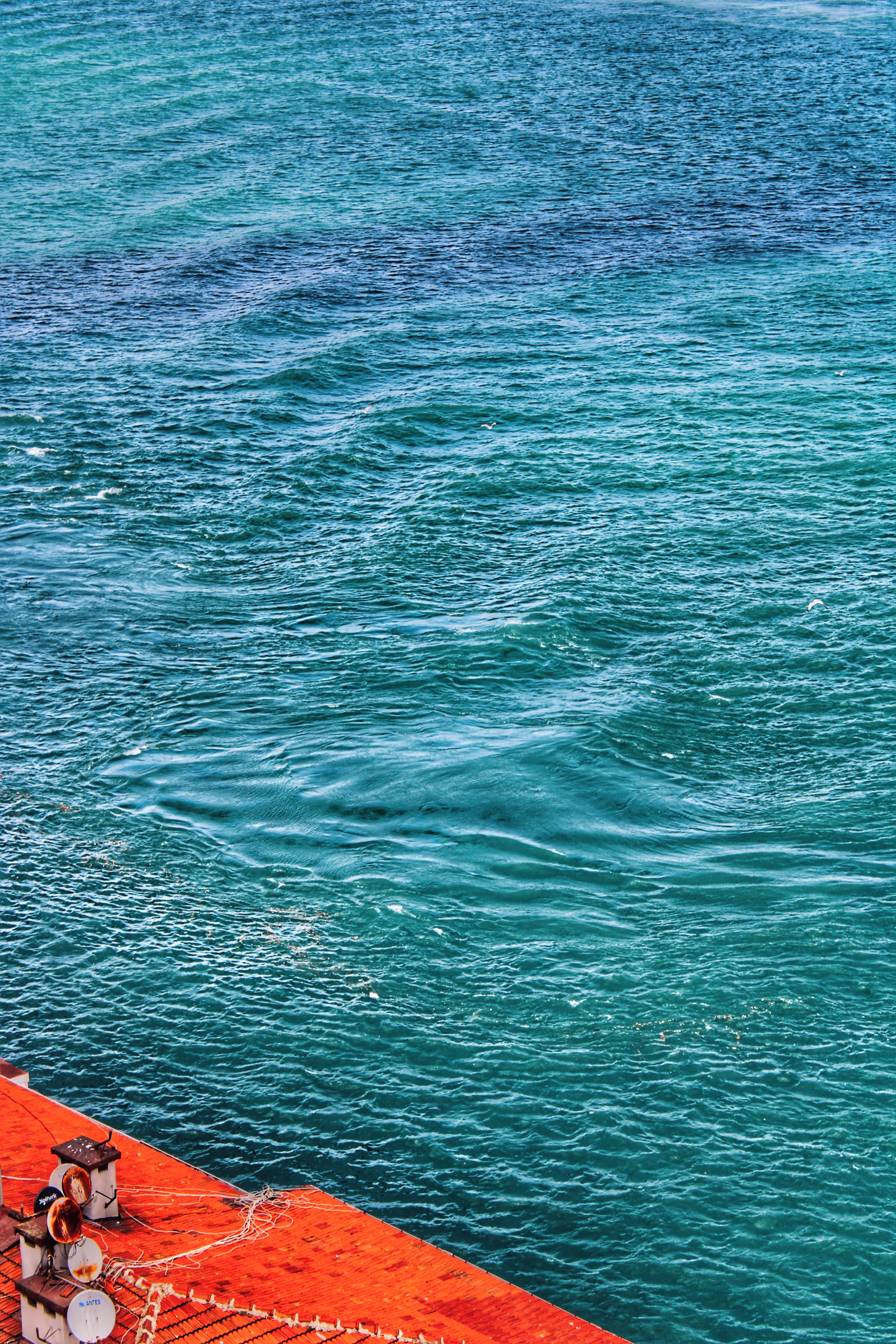 Wavy, Blue Water Surface · Free Stock Photo