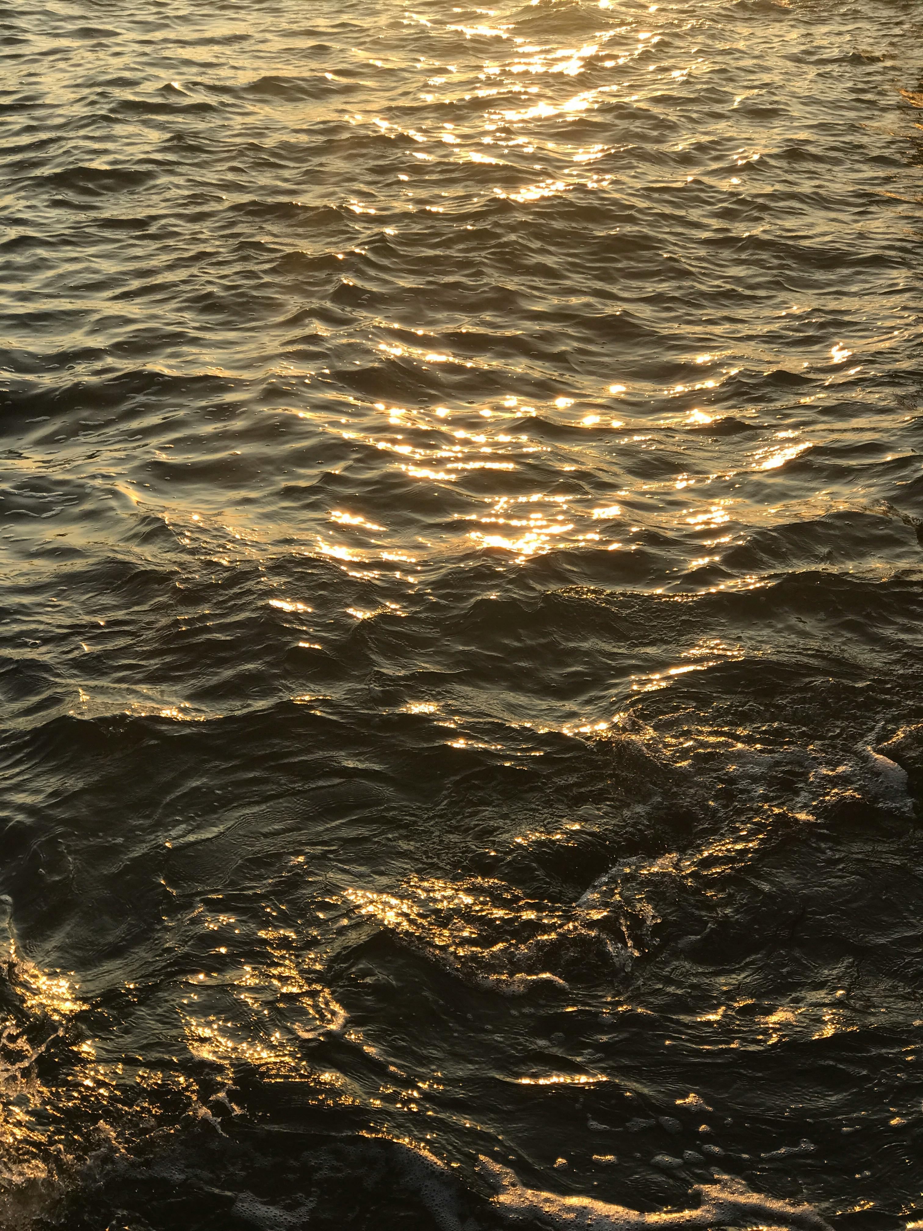 Shiny Water Surface at Sunset · Free Stock Photo