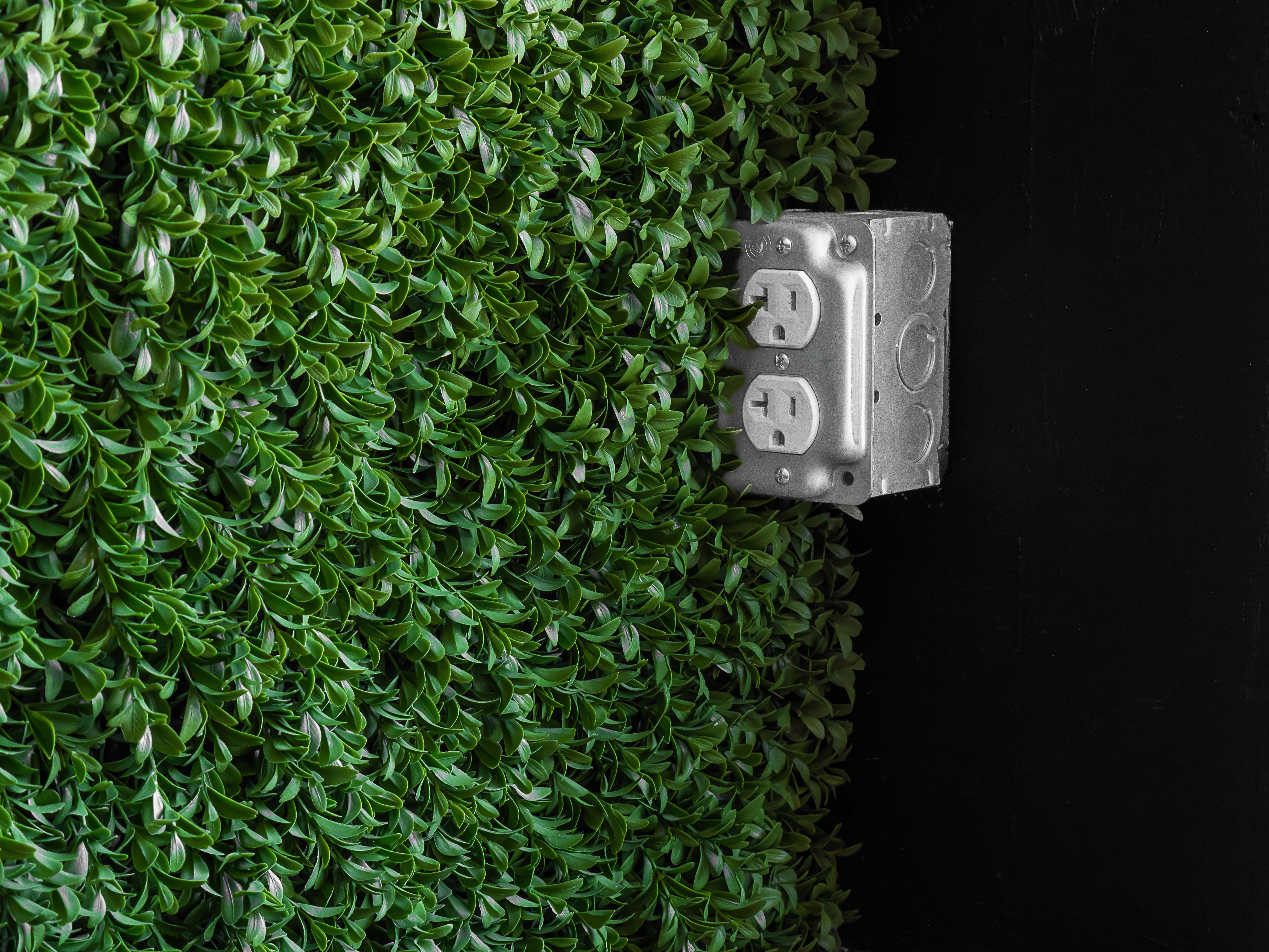 Box with Outlets on Green Wall · Free Stock Photo