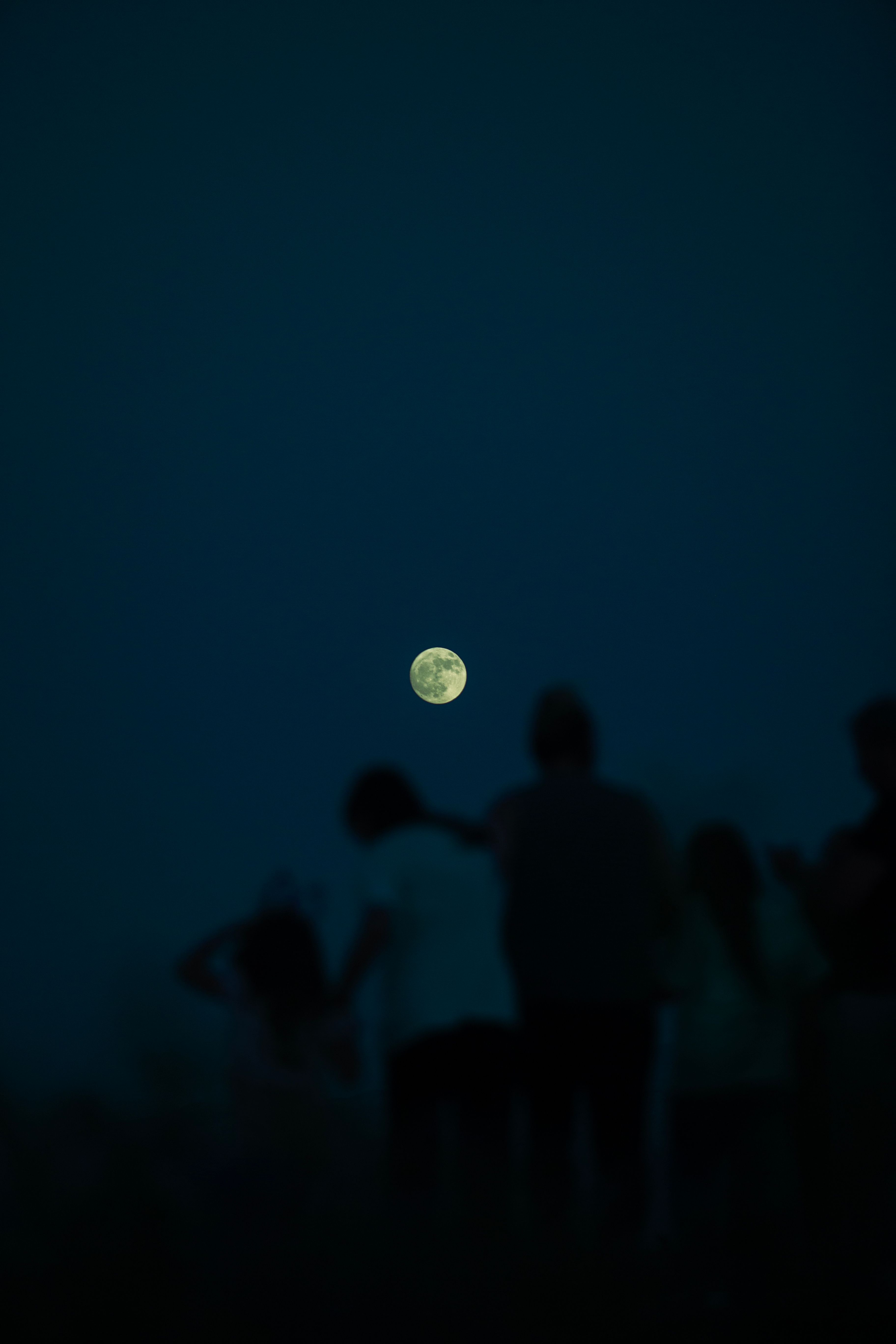 Silhouette of People against Night Sky with Full Moon · Free Stock Photo