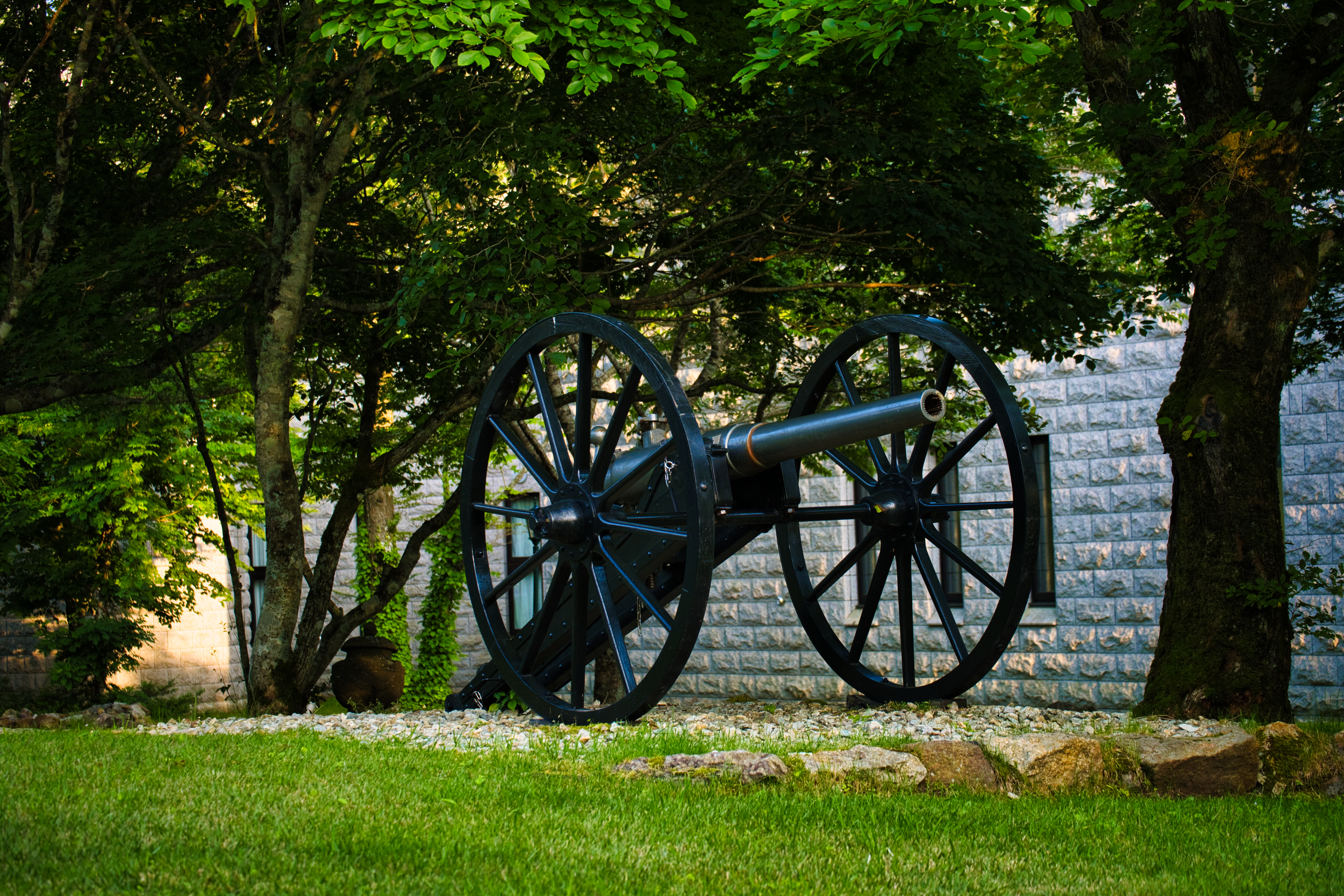 Vintage Cannon in Park · Free Stock Photo