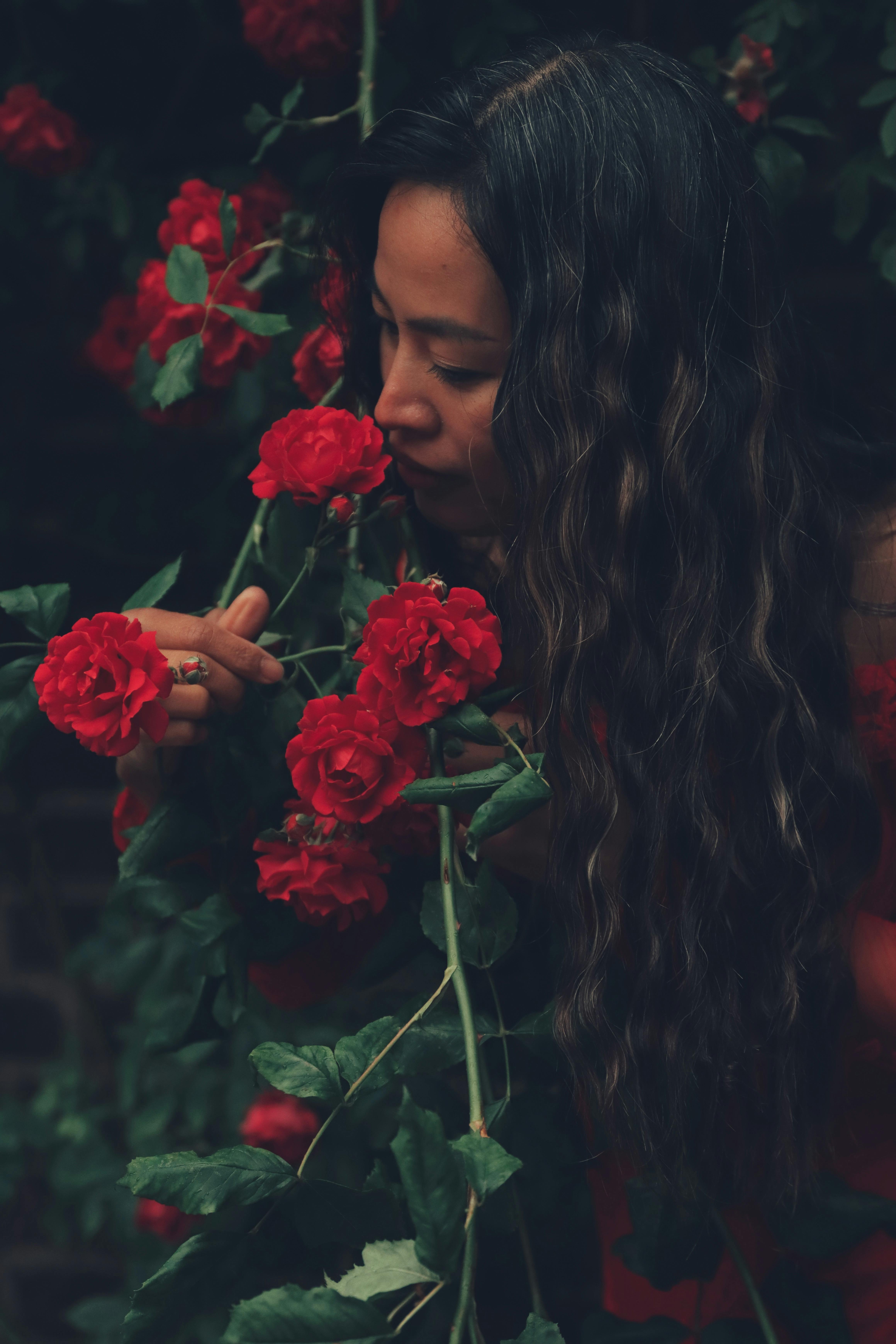 Brunette Woman Smelling Red Roses · Free Stock Photo