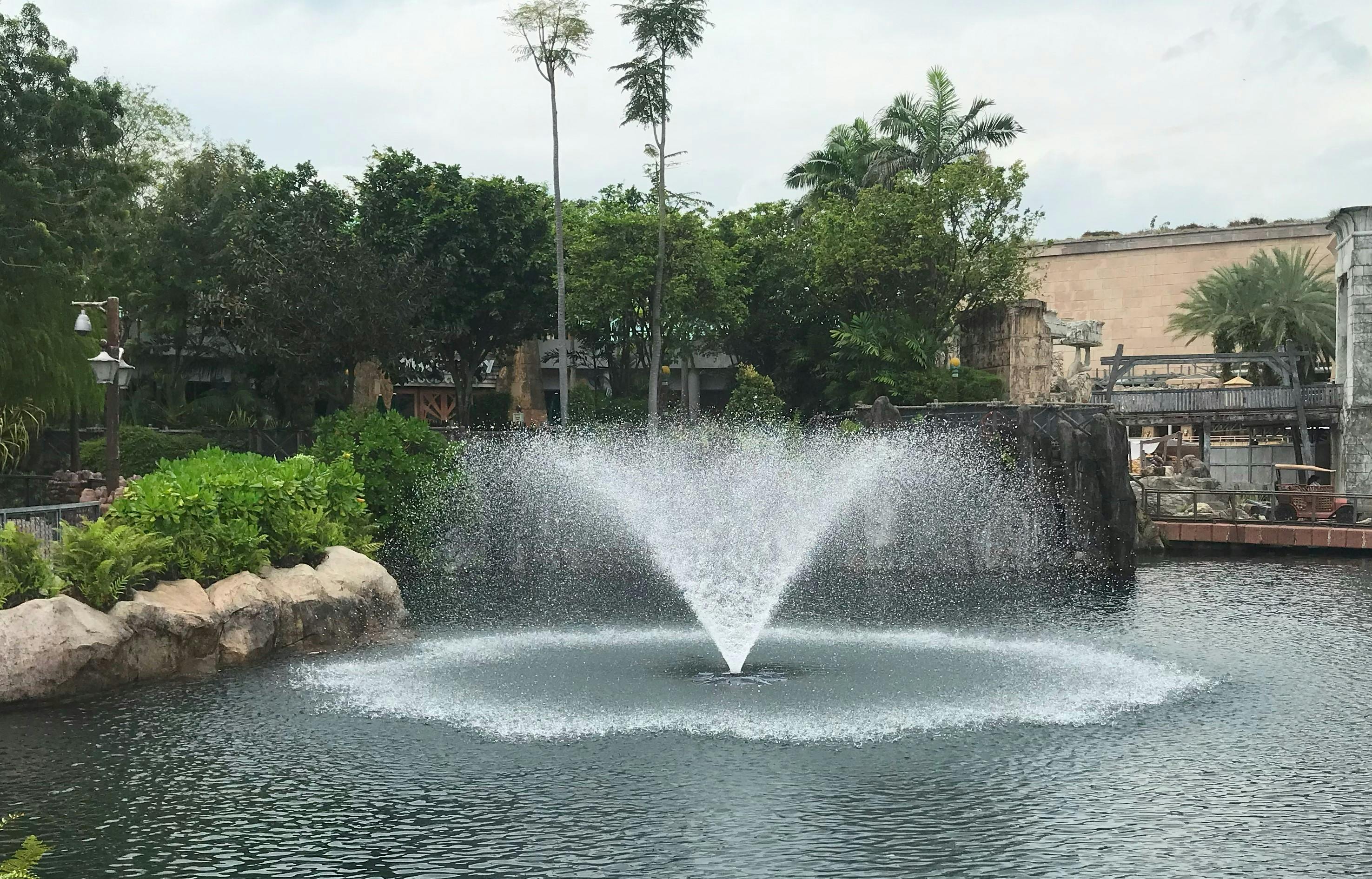 Divakaran T N - Photography