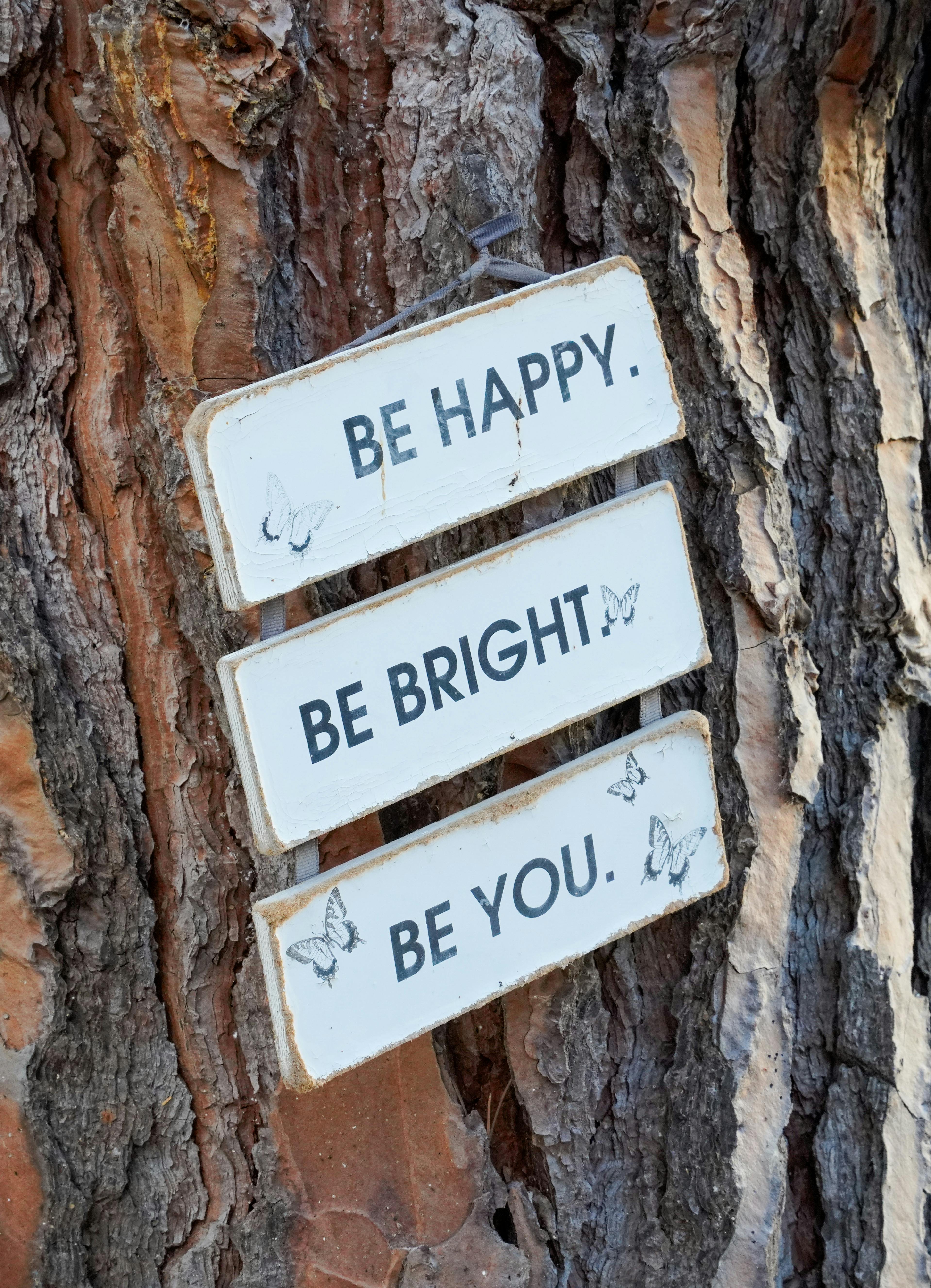 Boards with Messages on Tree · Free Stock Photo