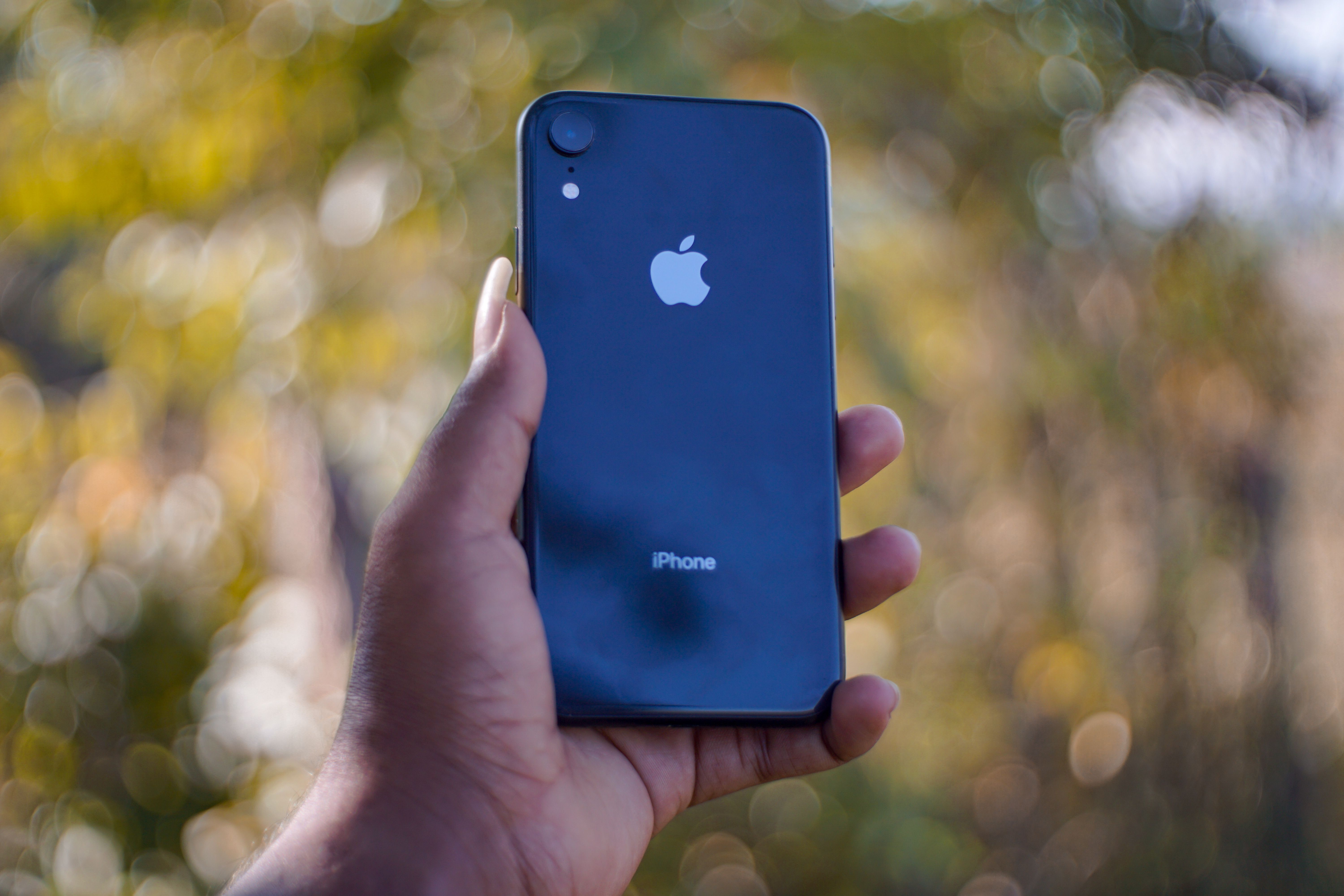 IPhone in Woman Hand · Free Stock Photo