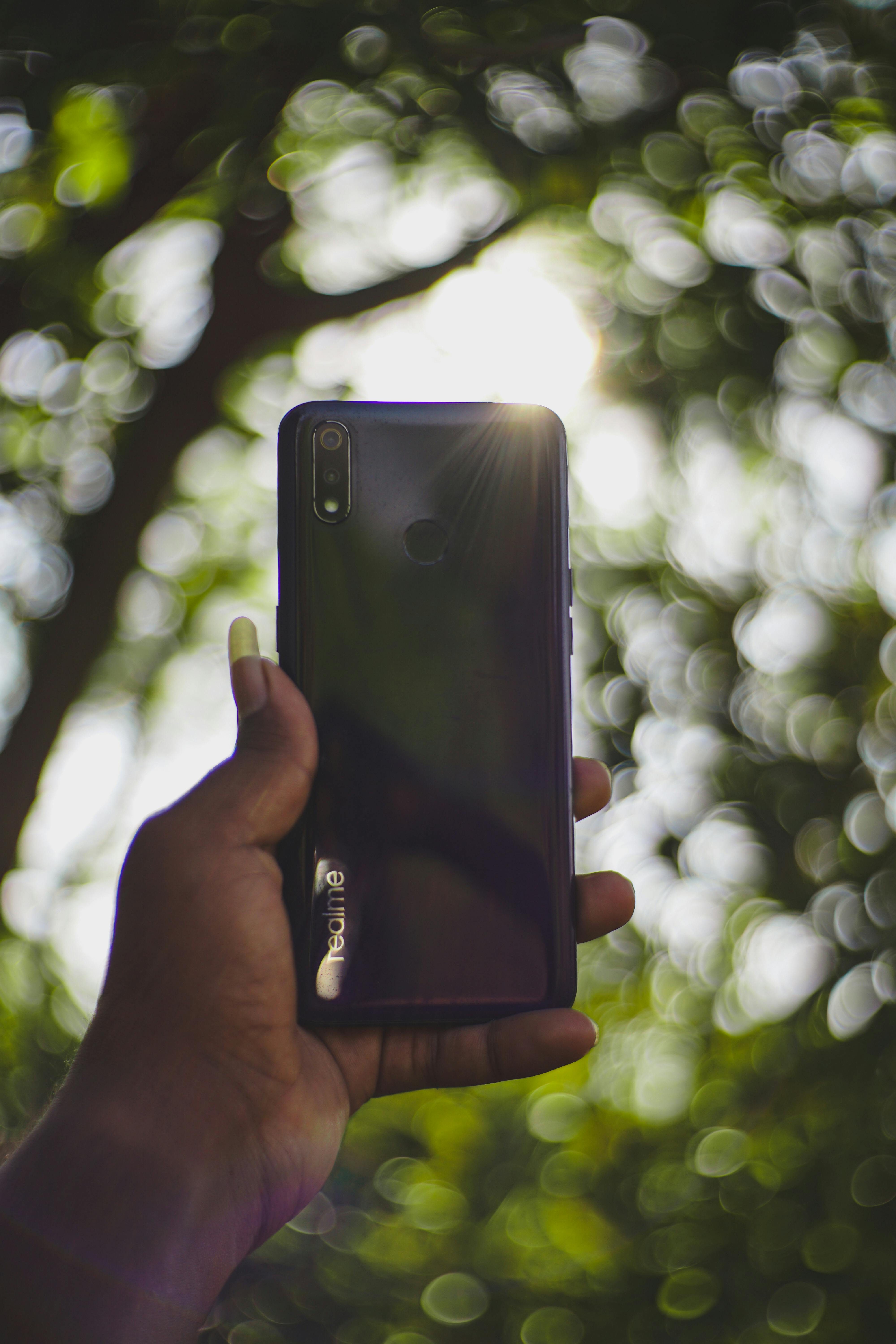 Foto de stock gratuita sobre al aire libre, arboles, artilugio, bokeh ...