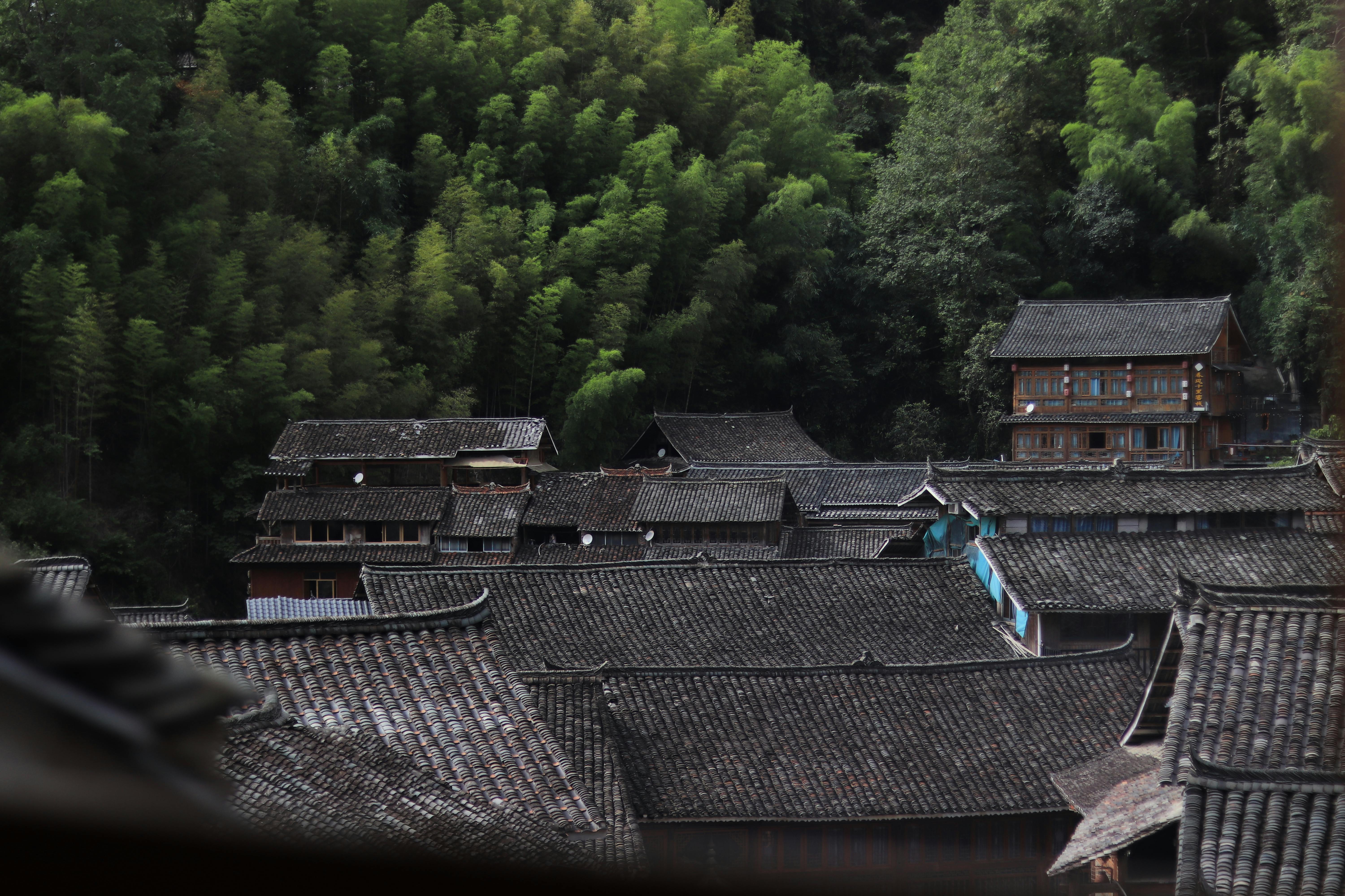 Old Rooftops of Houses · Free Stock Photo