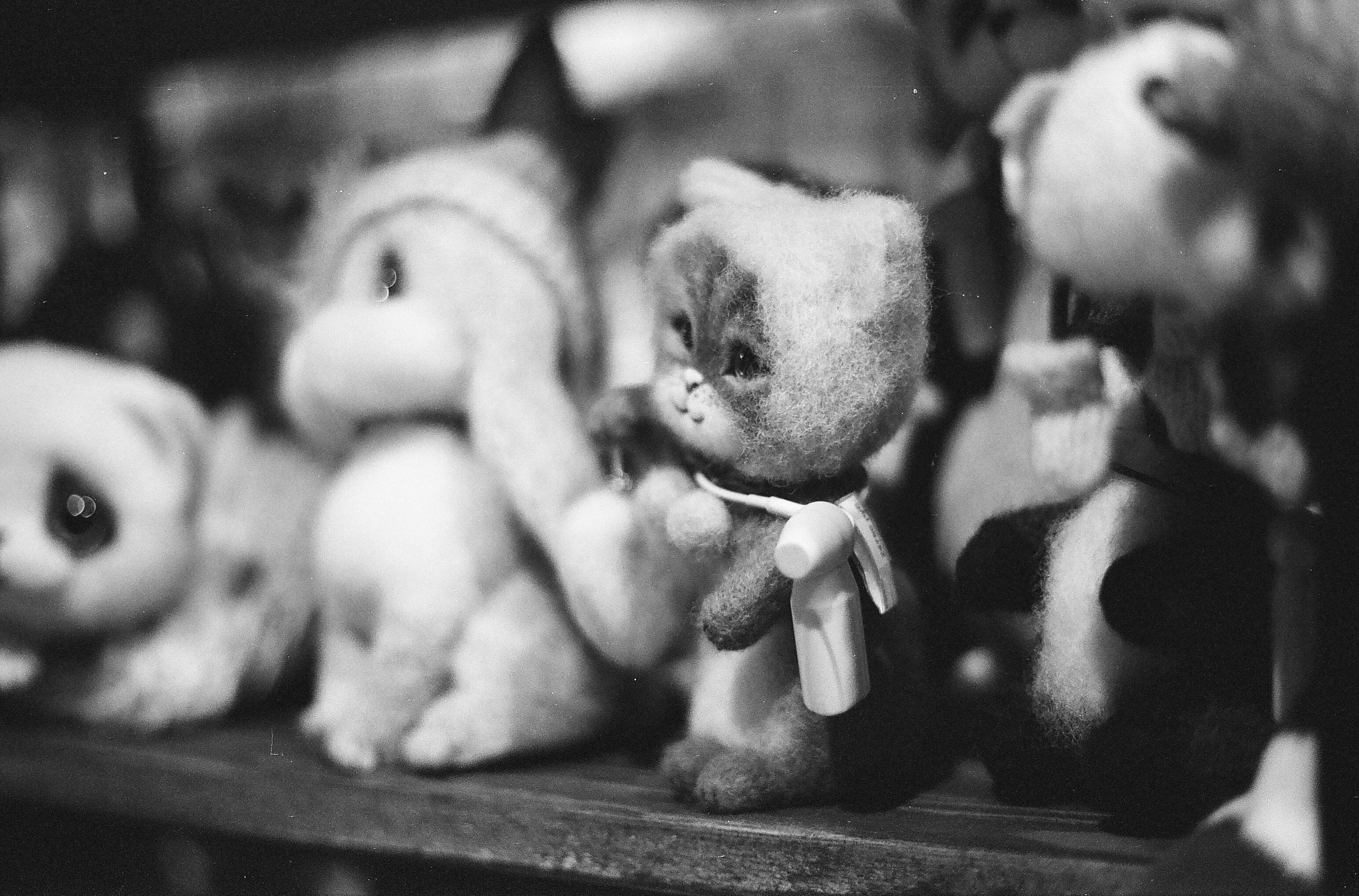 Cute Bacteria Photos, Download The BEST Free Cute Bacteria Stock Photos ...