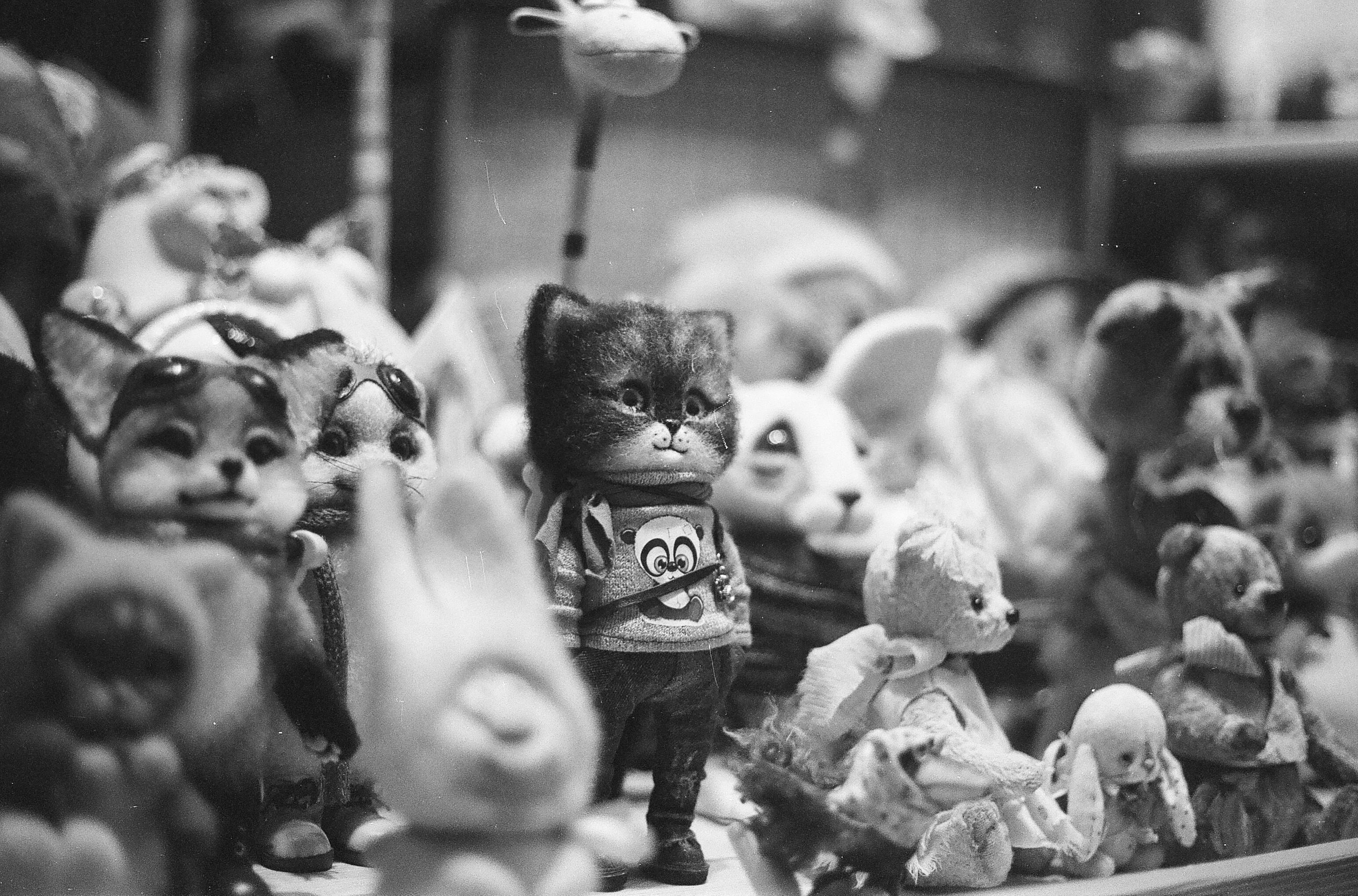 Selection Photos, Download The BEST Free Selection Stock Photos & HD Images