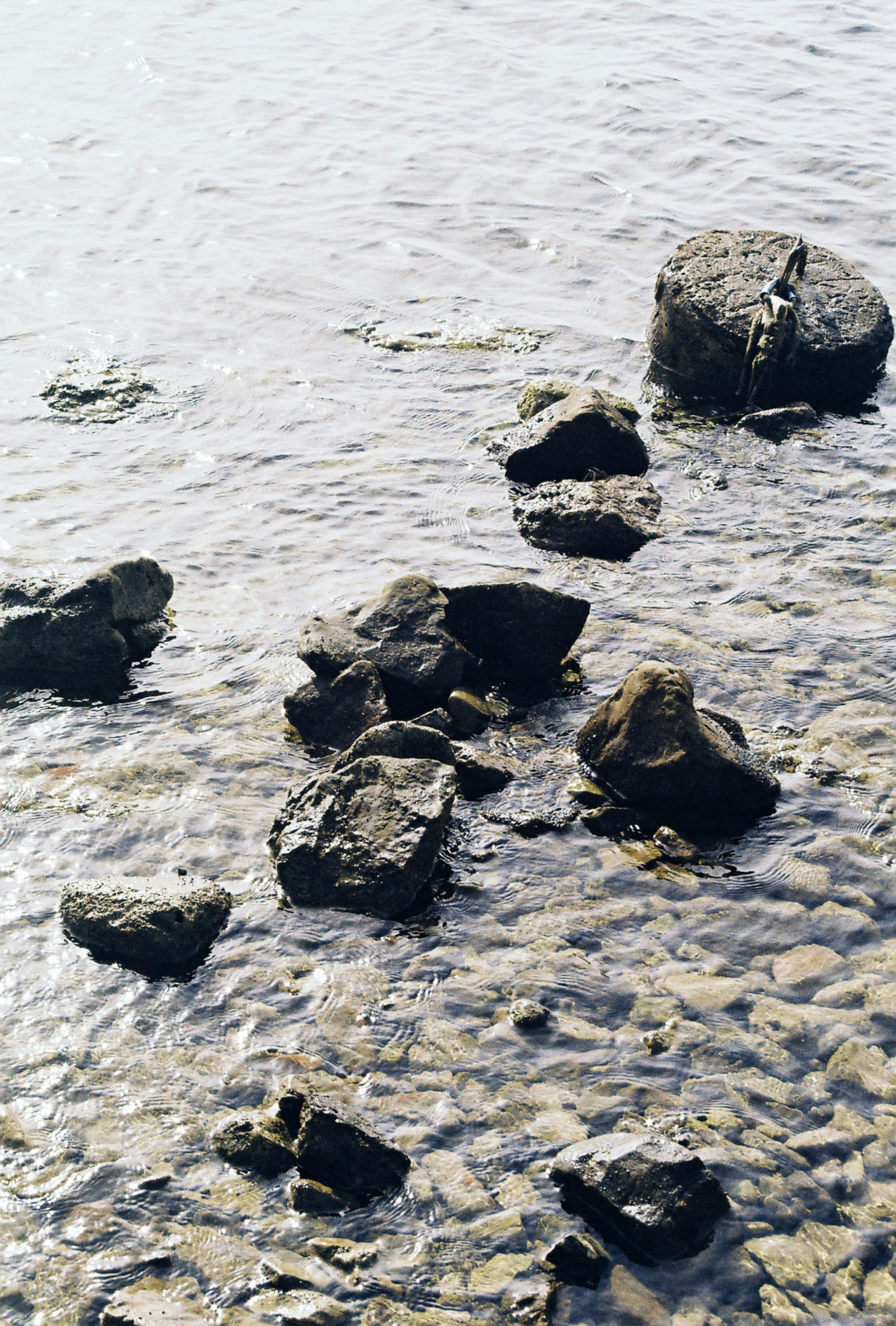 Rocks in Shallow Water · Free Stock Photo