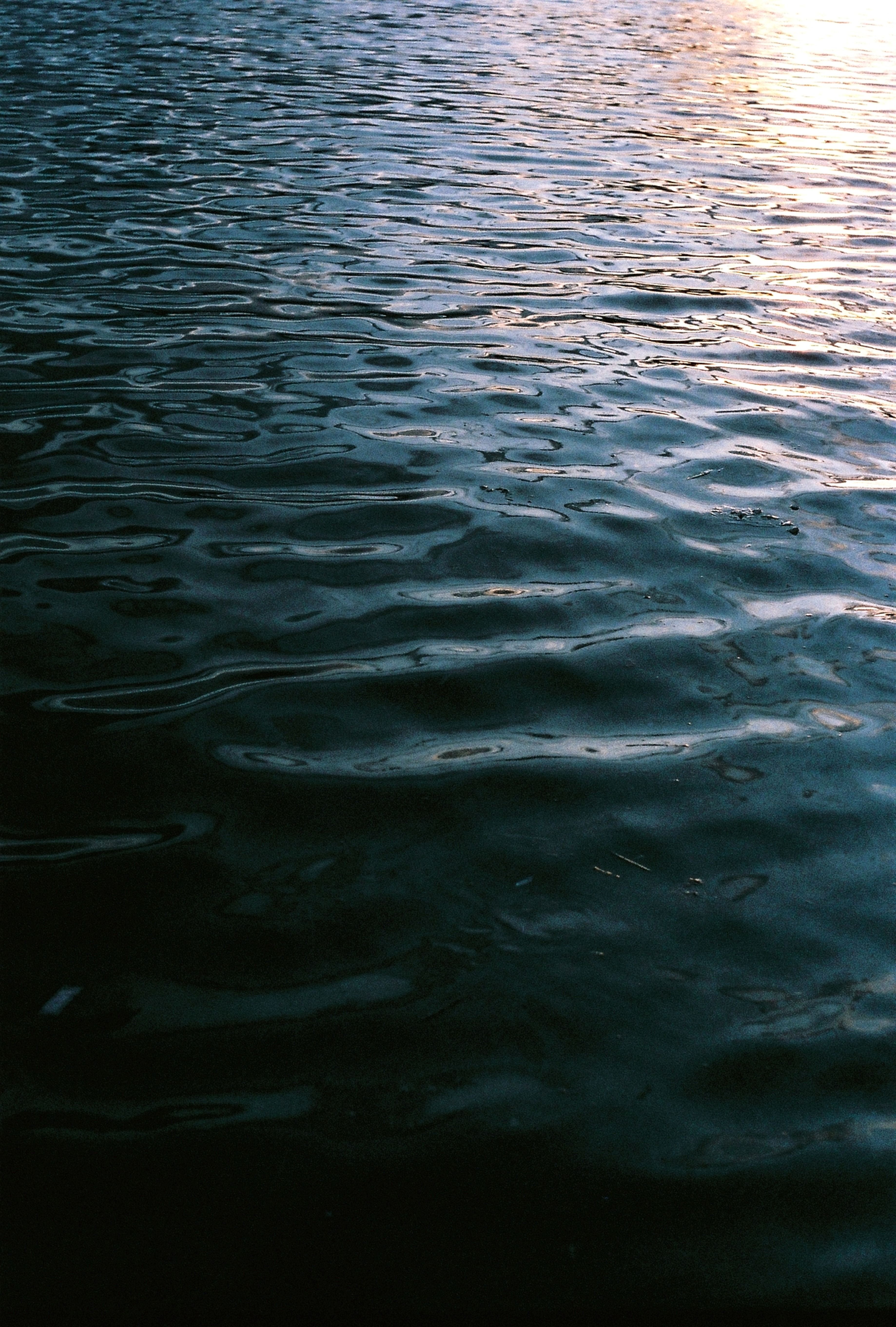 Water surface · Free Stock Photo