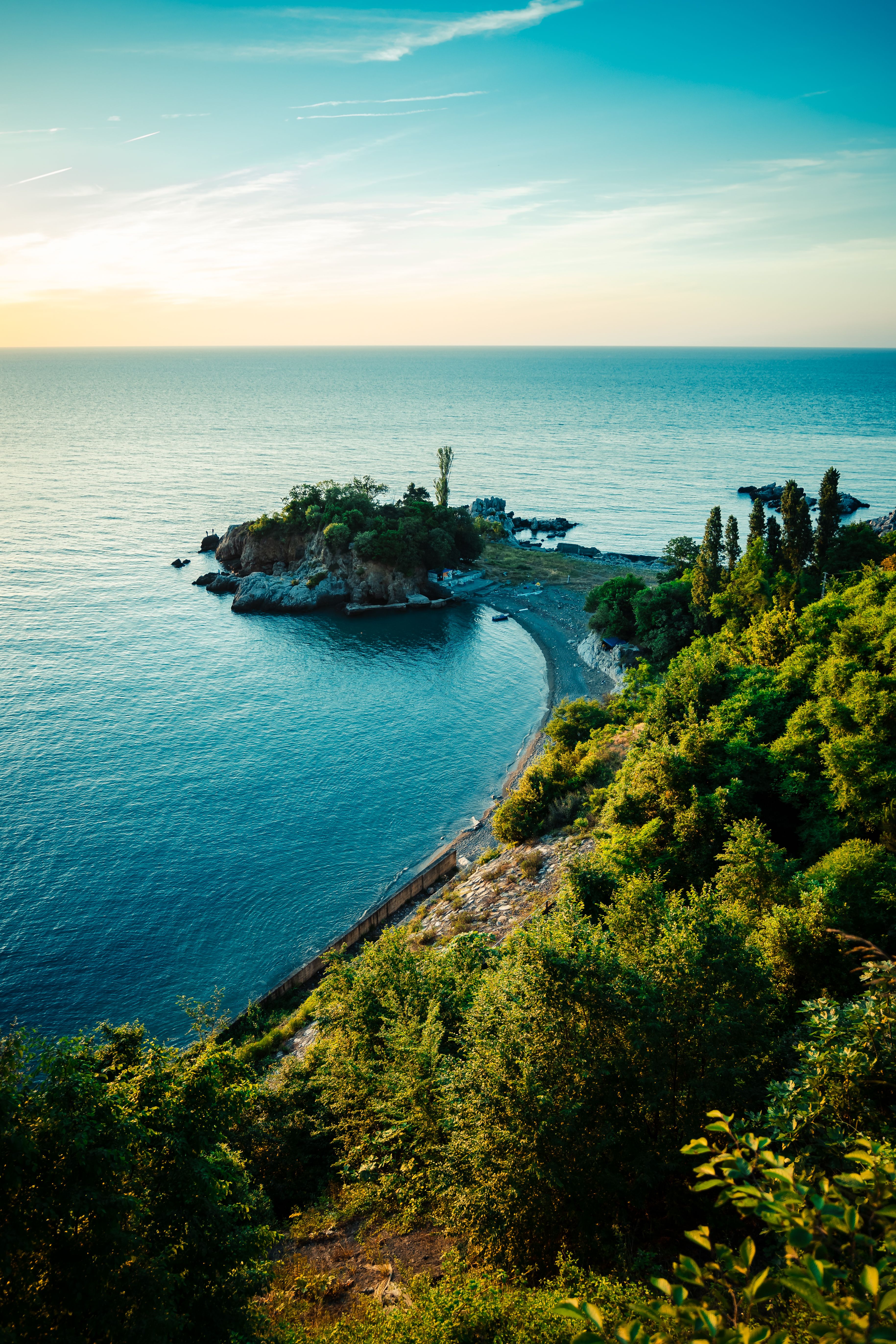 Green Trees in Bay on Sea Shore · Free Stock Photo