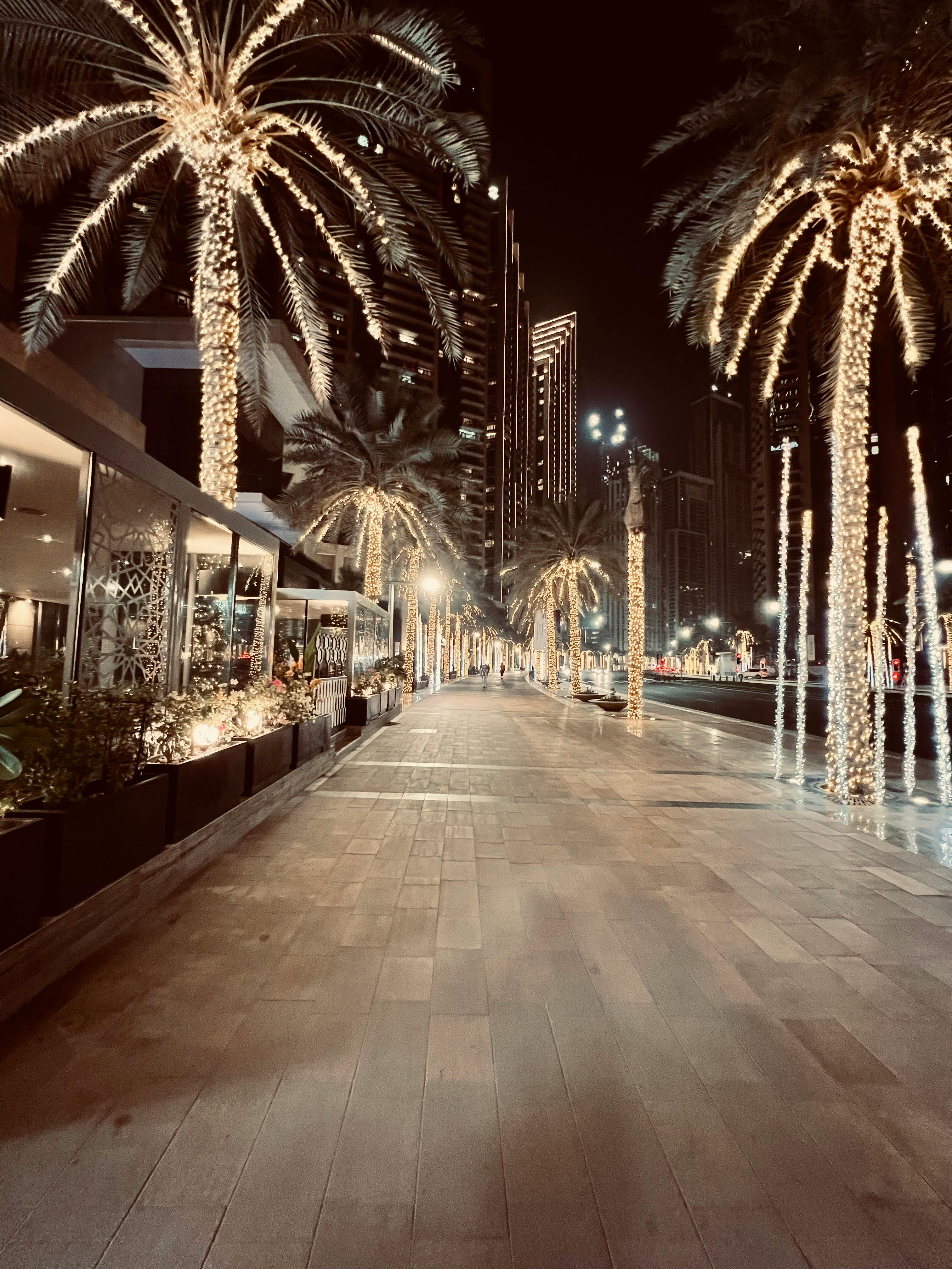 Sam Miri - Photography