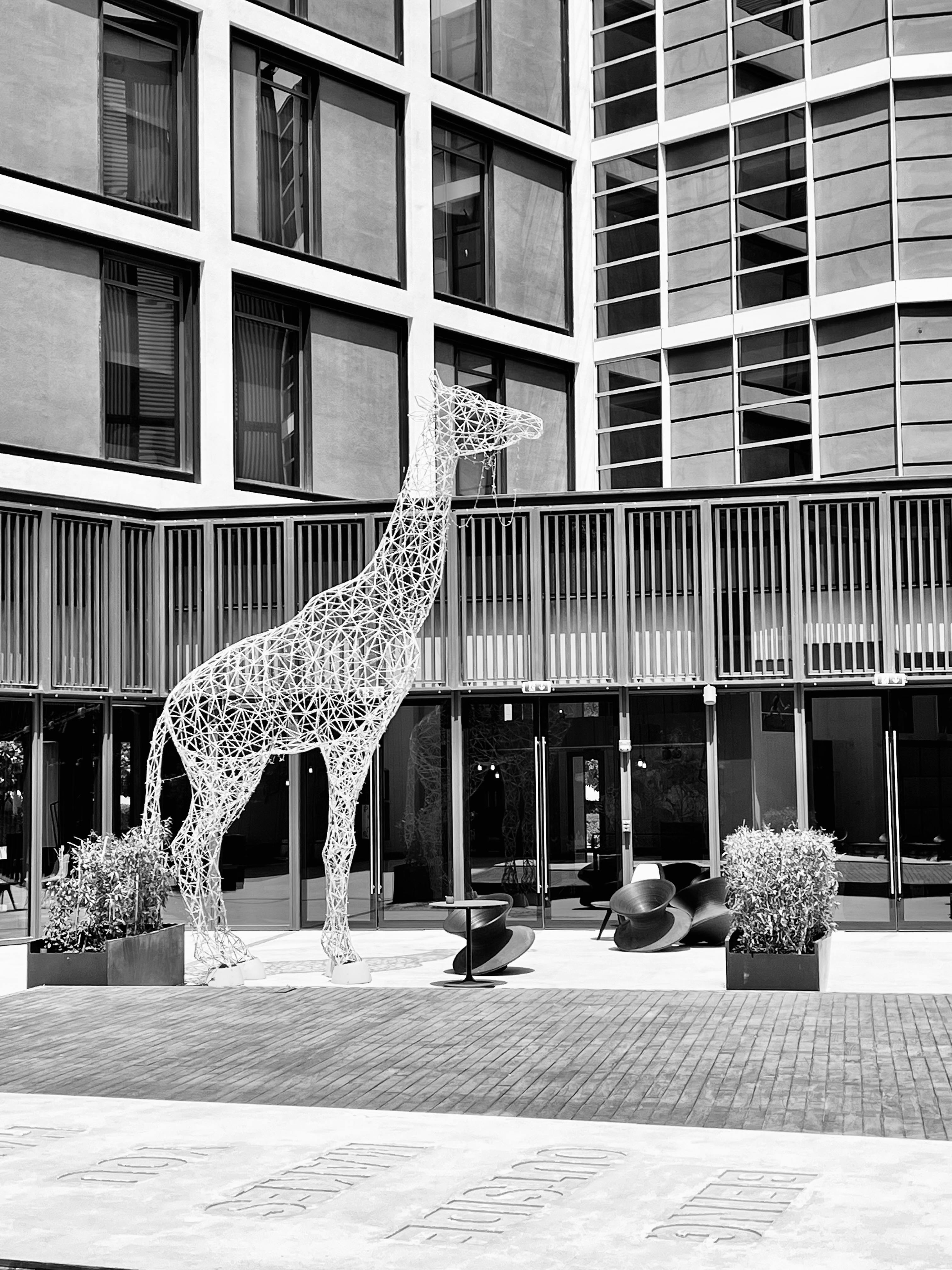 Sam Miri - Fotografía