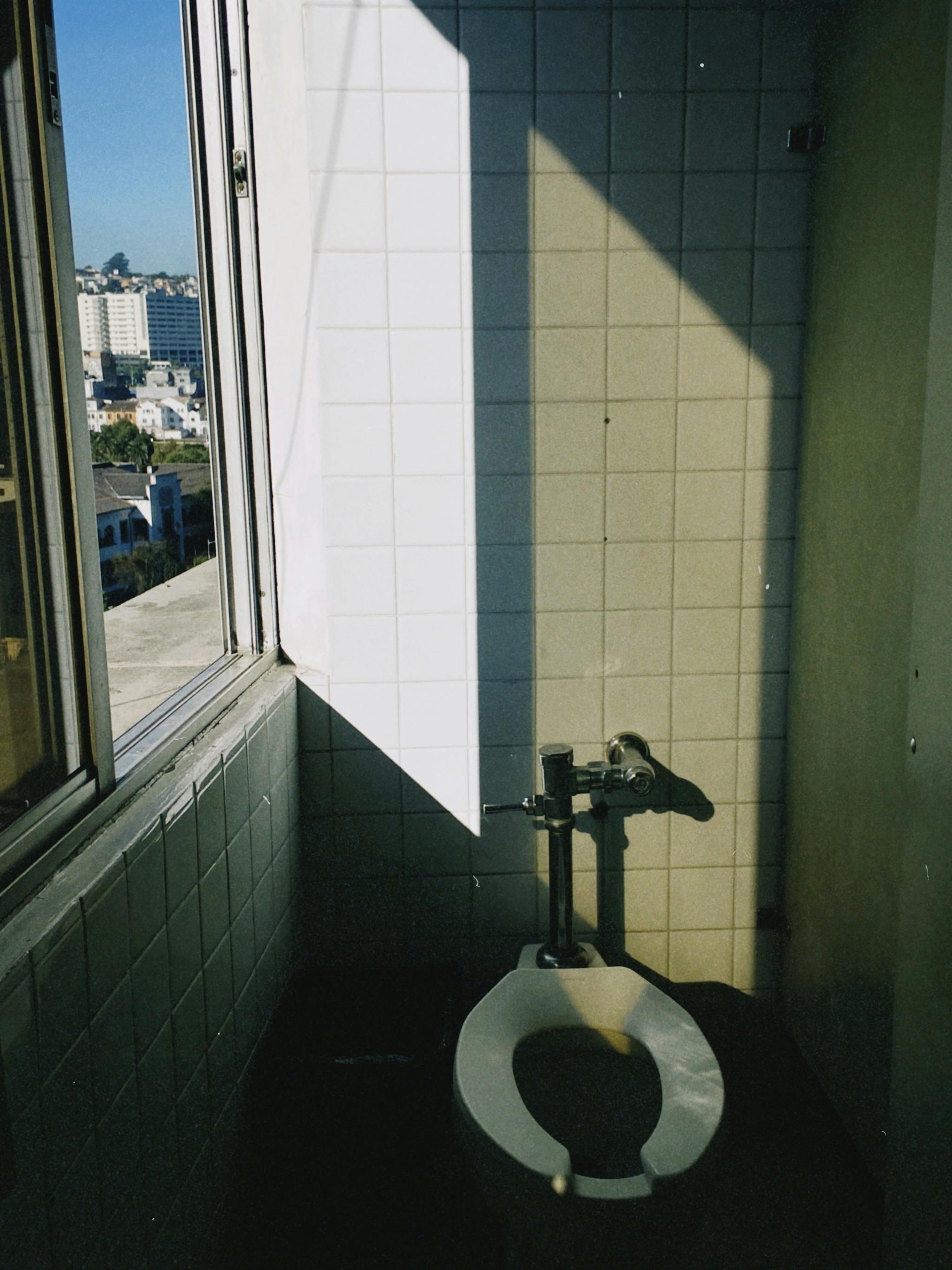 Hand Flushing Toilet · Free Stock Photo