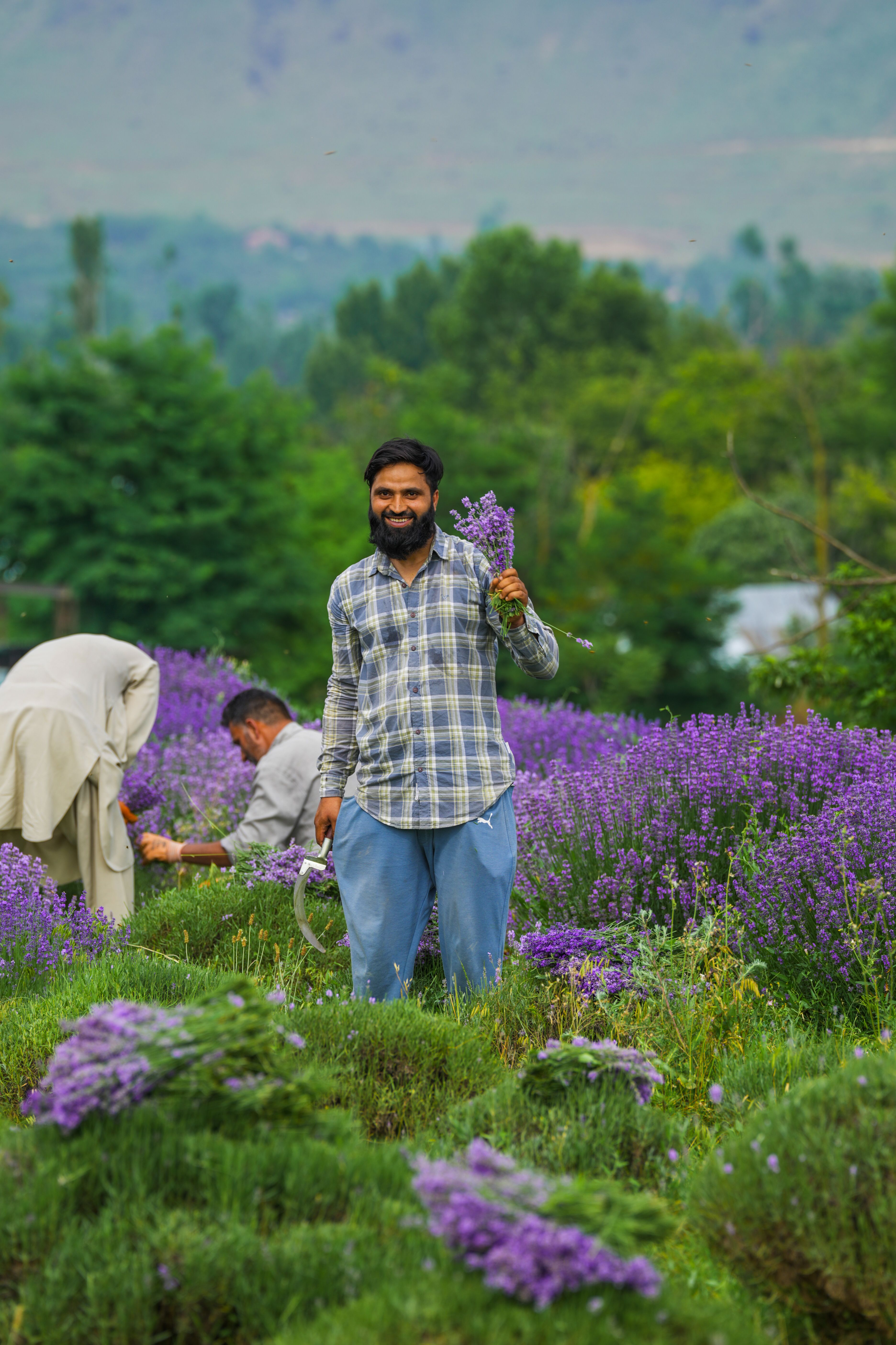Smiling Man with Lavender Flowers on Field · Free Stock Photo