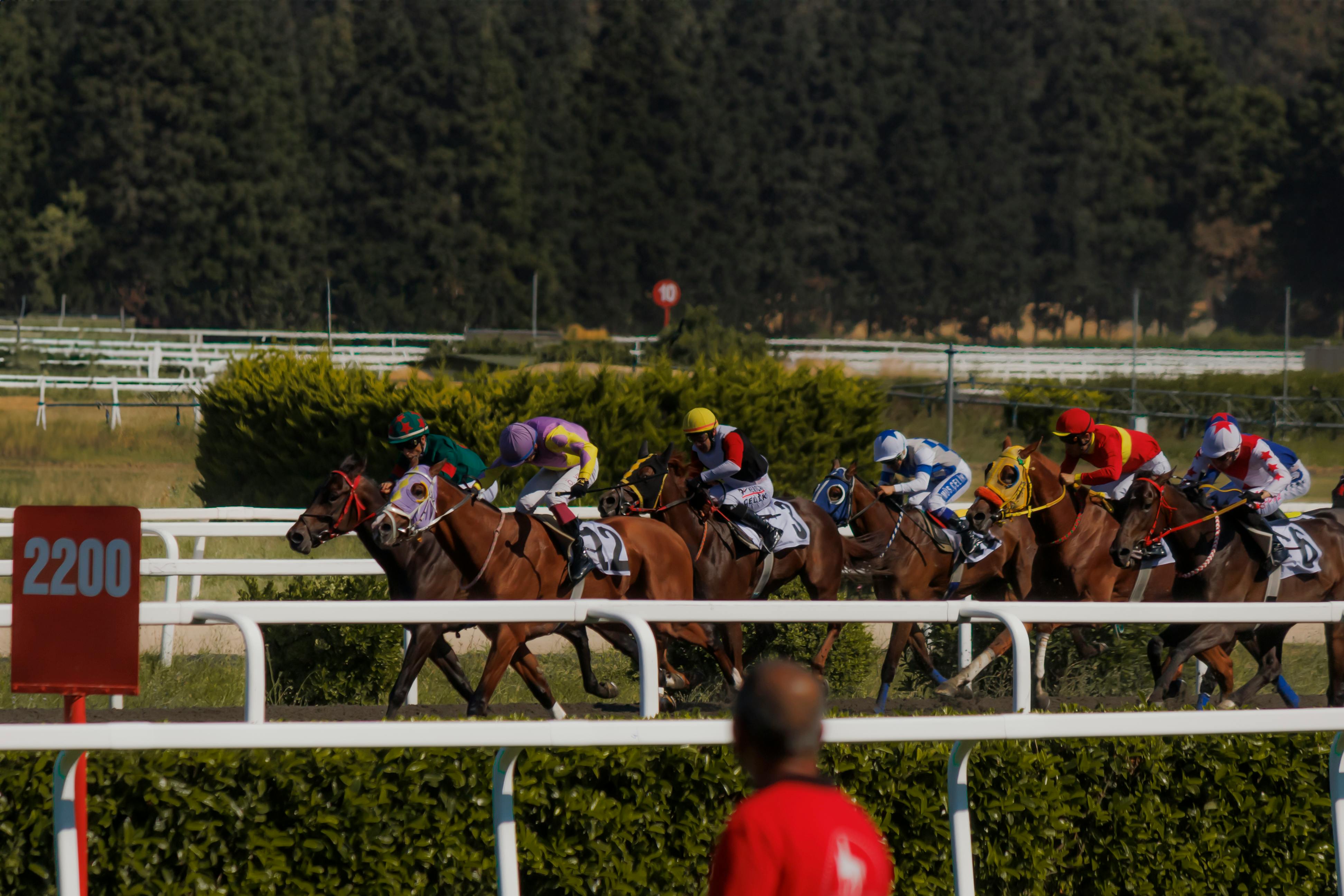 Jockeys Riding Racing Horses at a Hippodrome · Free Stock Photo