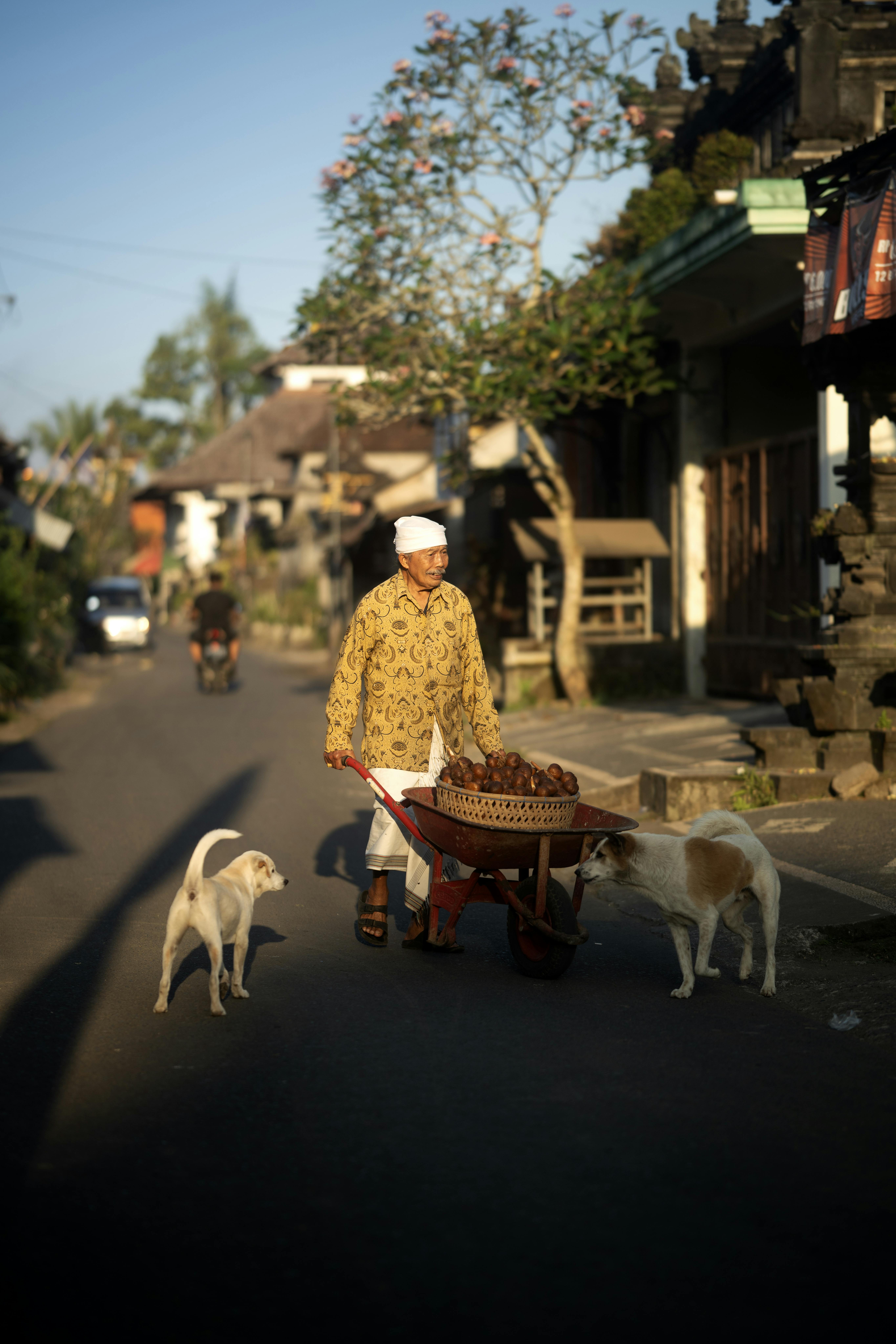 Man Walking with Wheelbarrow in Town · Free Stock Photo