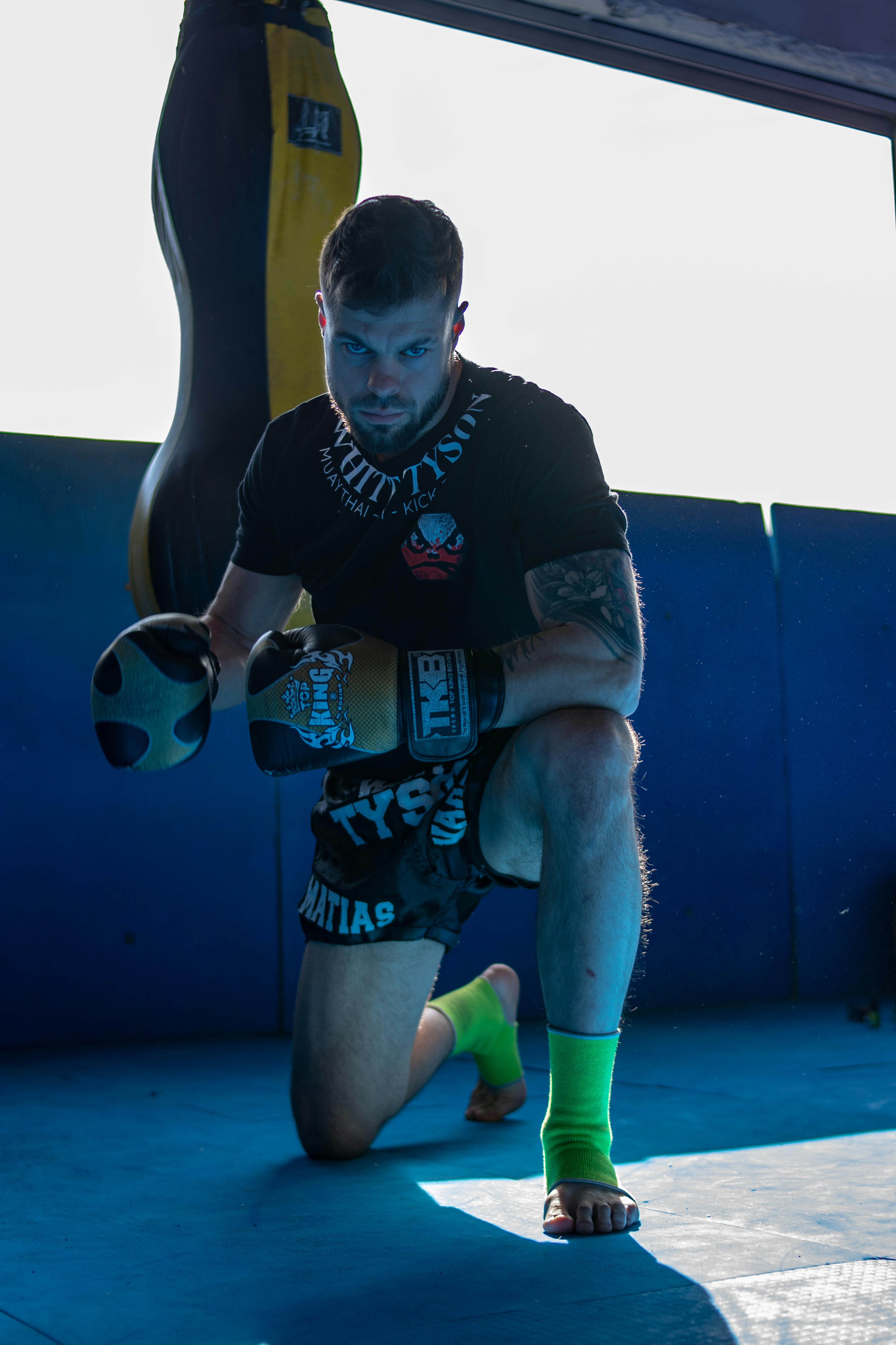 Boxer Crouching in Training · Free Stock Photo