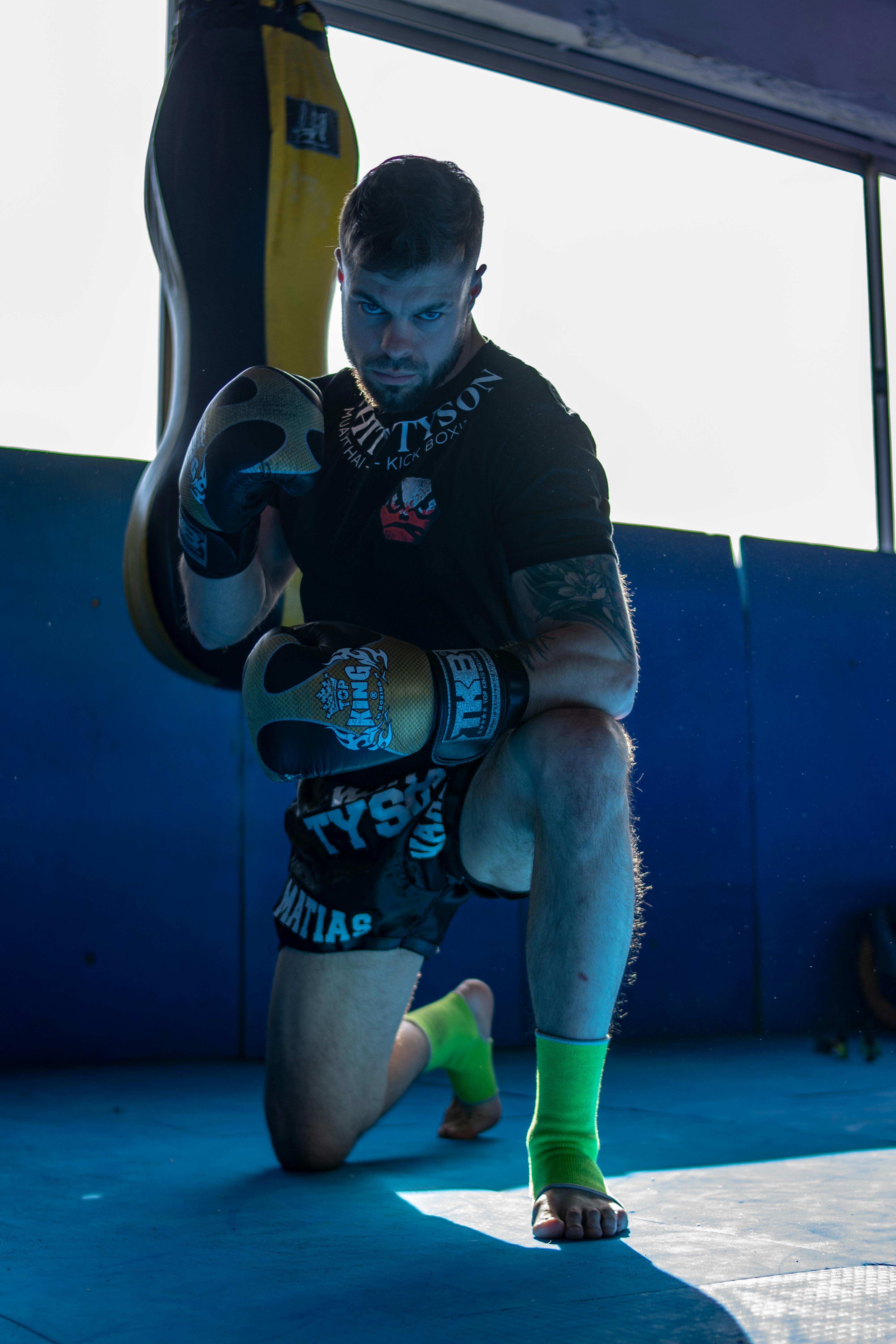 Boxer Crouching in Training · Free Stock Photo