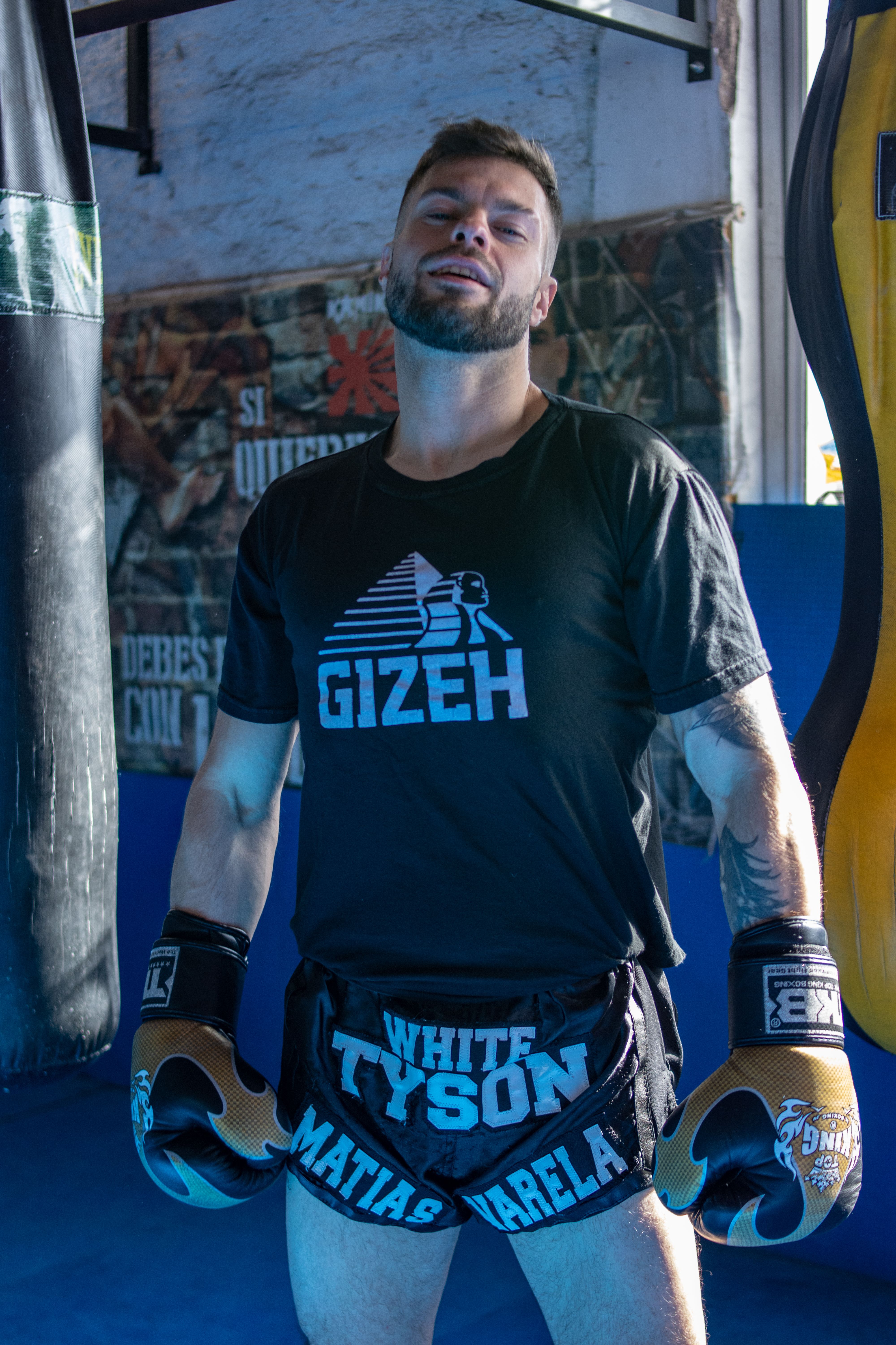 Portrait of Boxer · Free Stock Photo