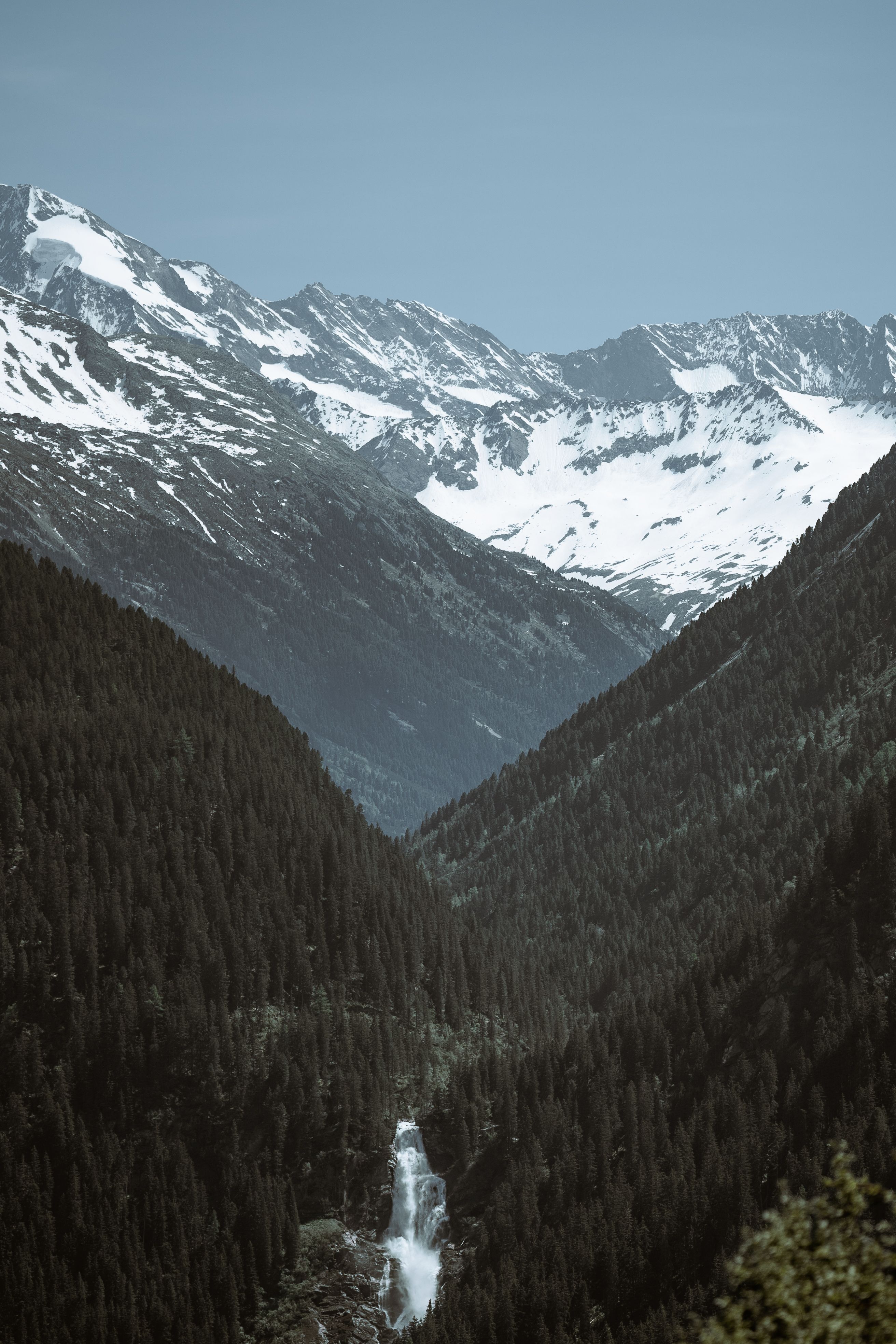 Deep Forest in Valley in Mountains · Free Stock Photo