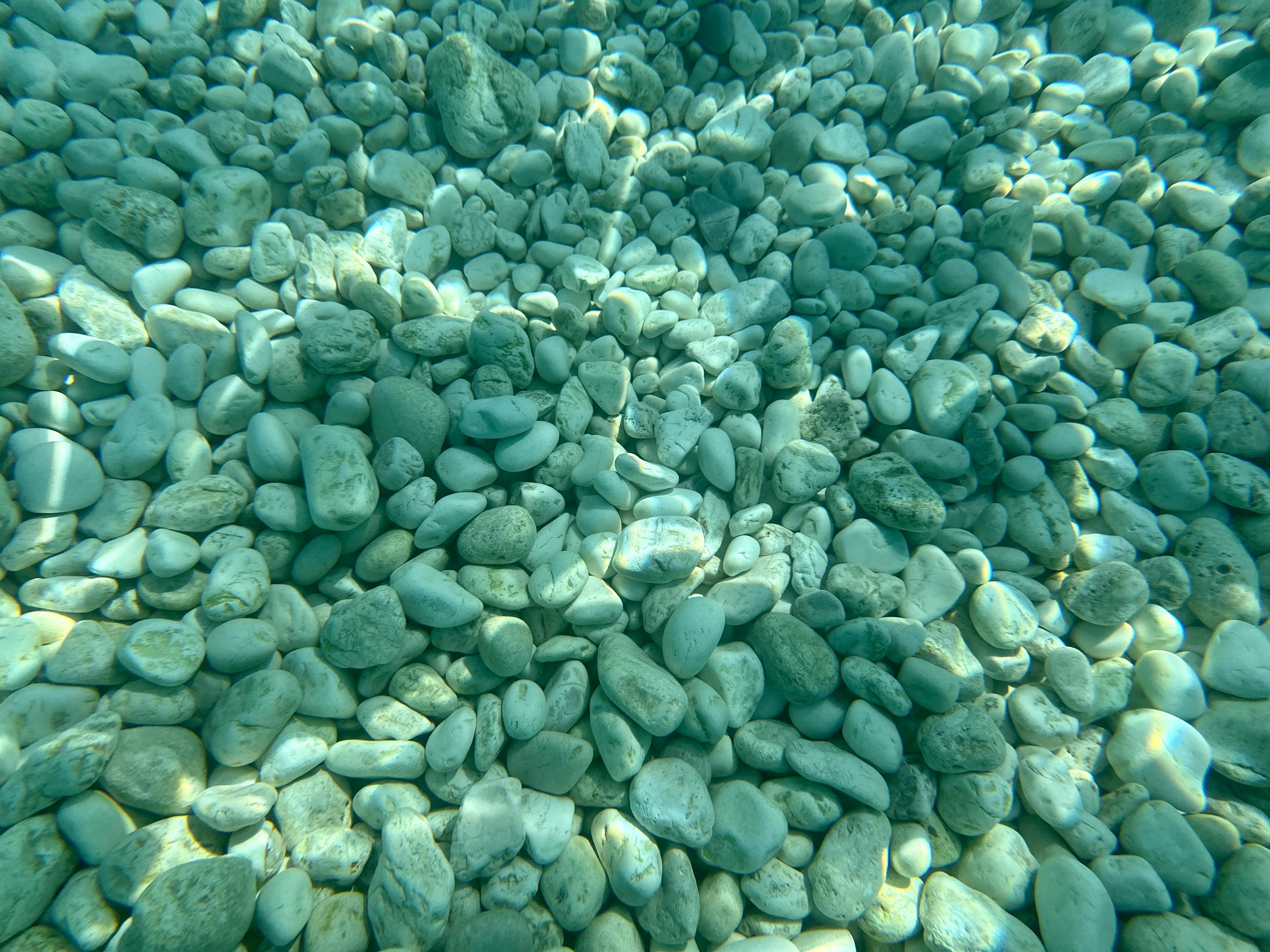 Stones Underwater Photos, Download The BEST Free Stones Underwater ...