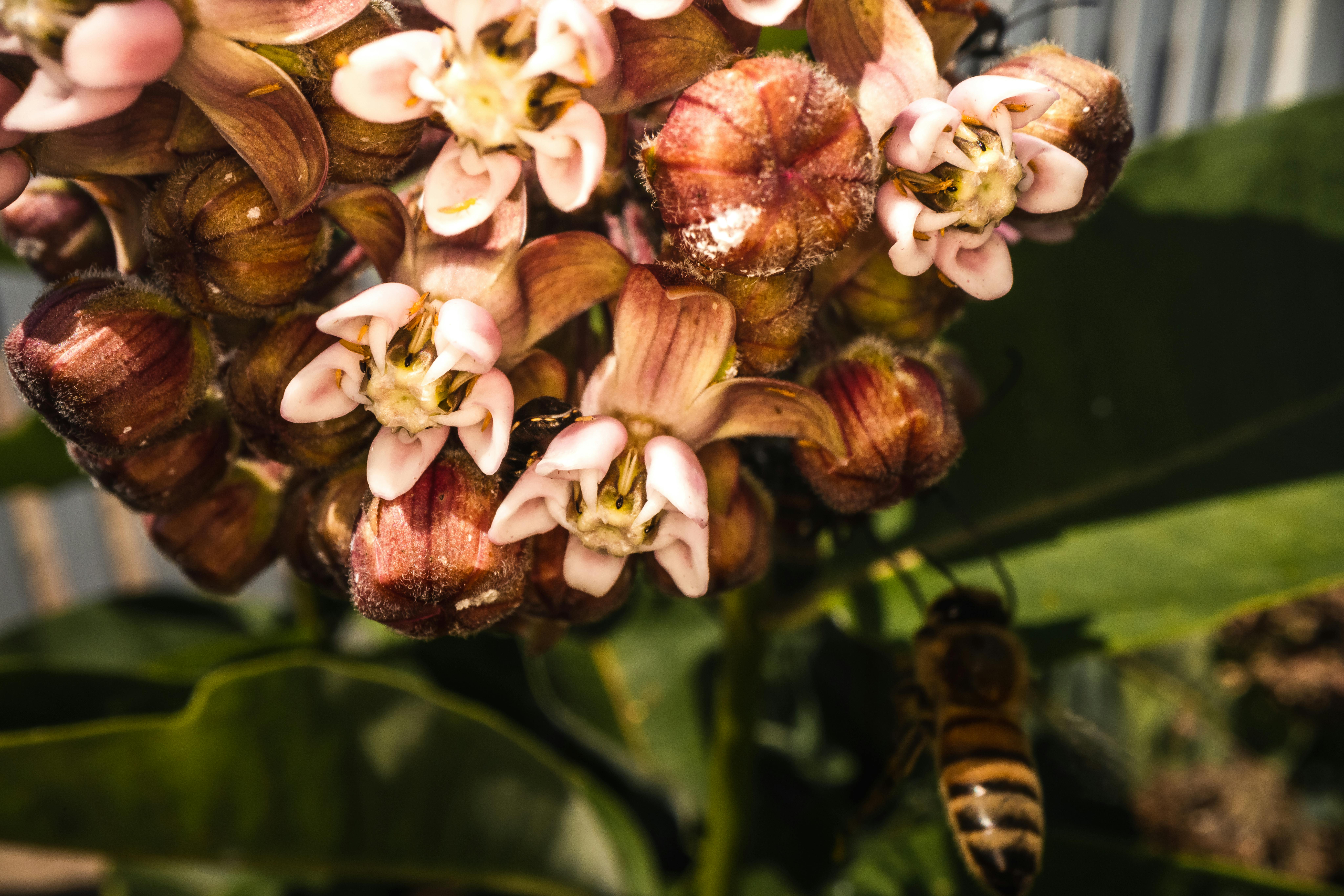 Travis Rupert - 사진